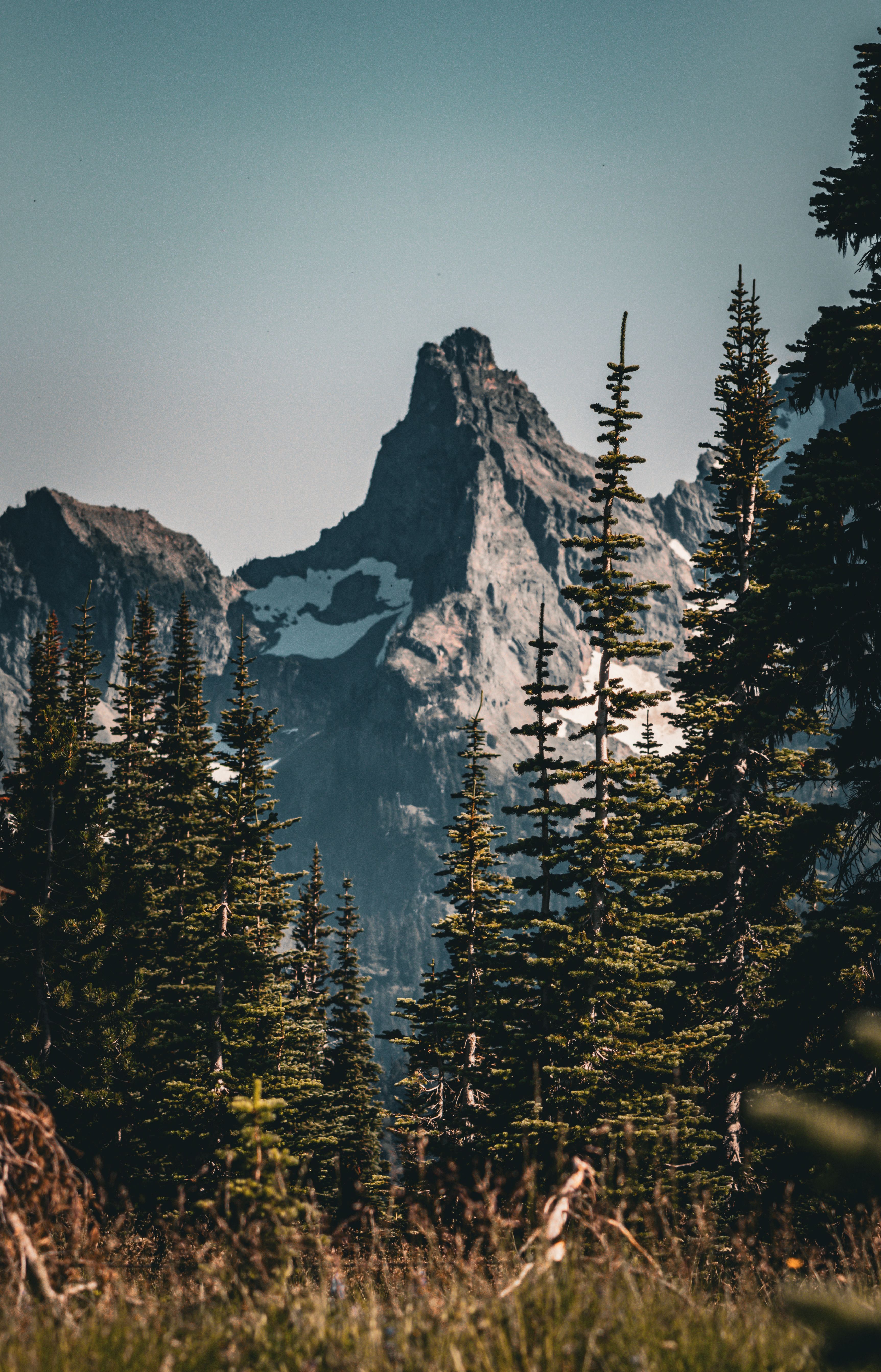 Stunning Mountain View in Washington State Wilderness · Free Stock Photo
