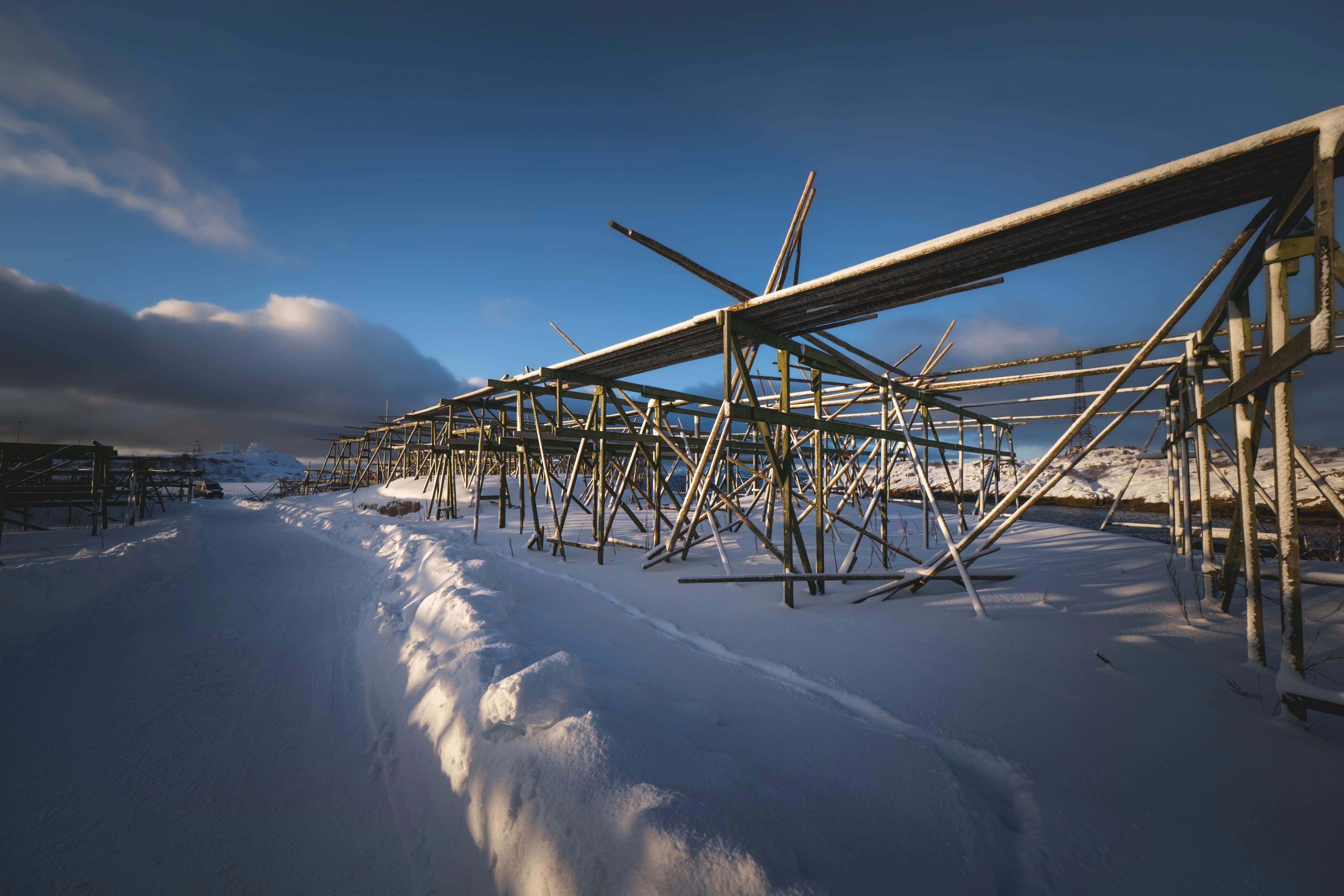 Snowy Norwegian Fish Drying Racks in Winter · Free Stock Photo