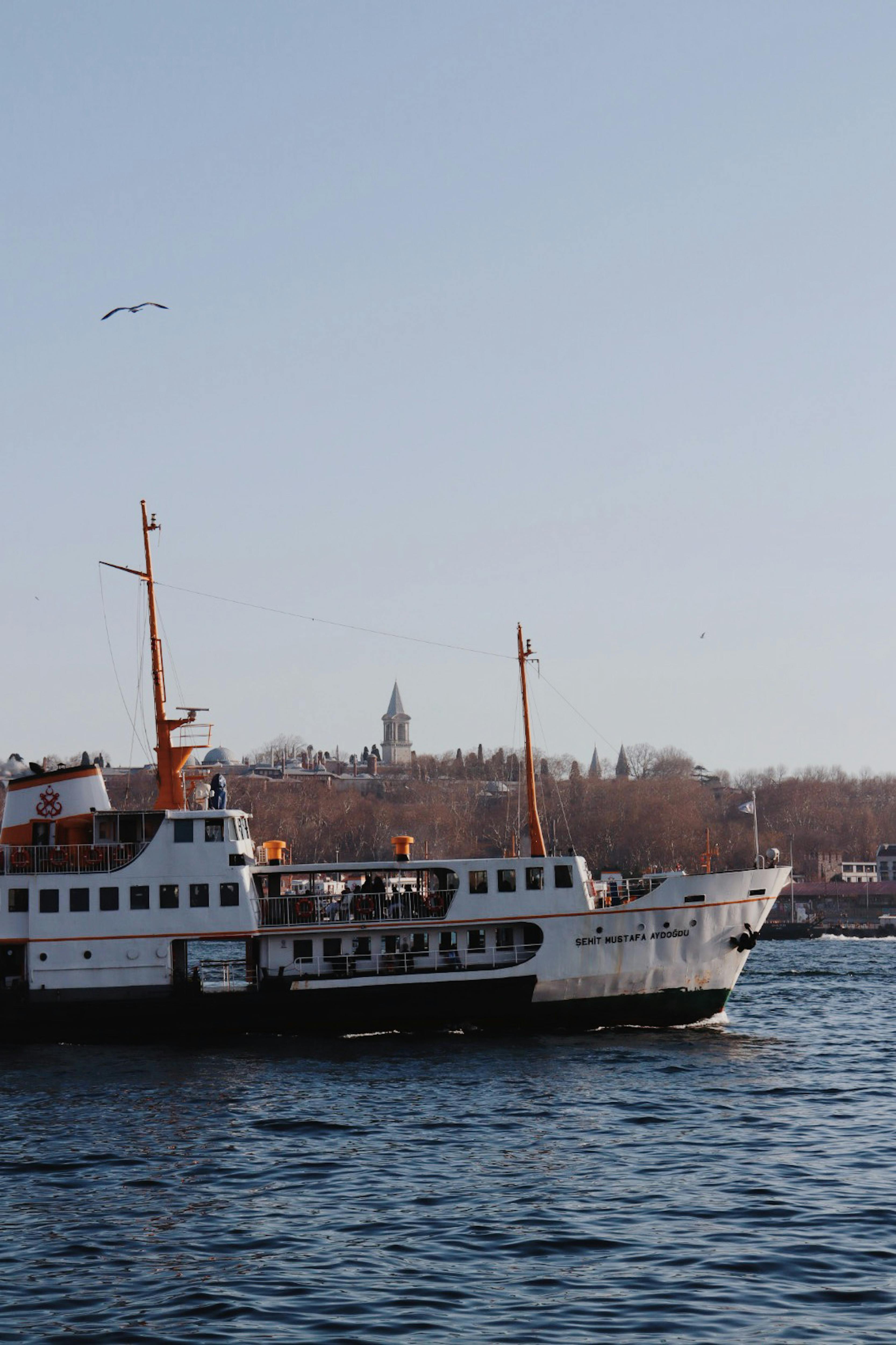 Scenic Ferry Ride with Hillside View · Free Stock Photo