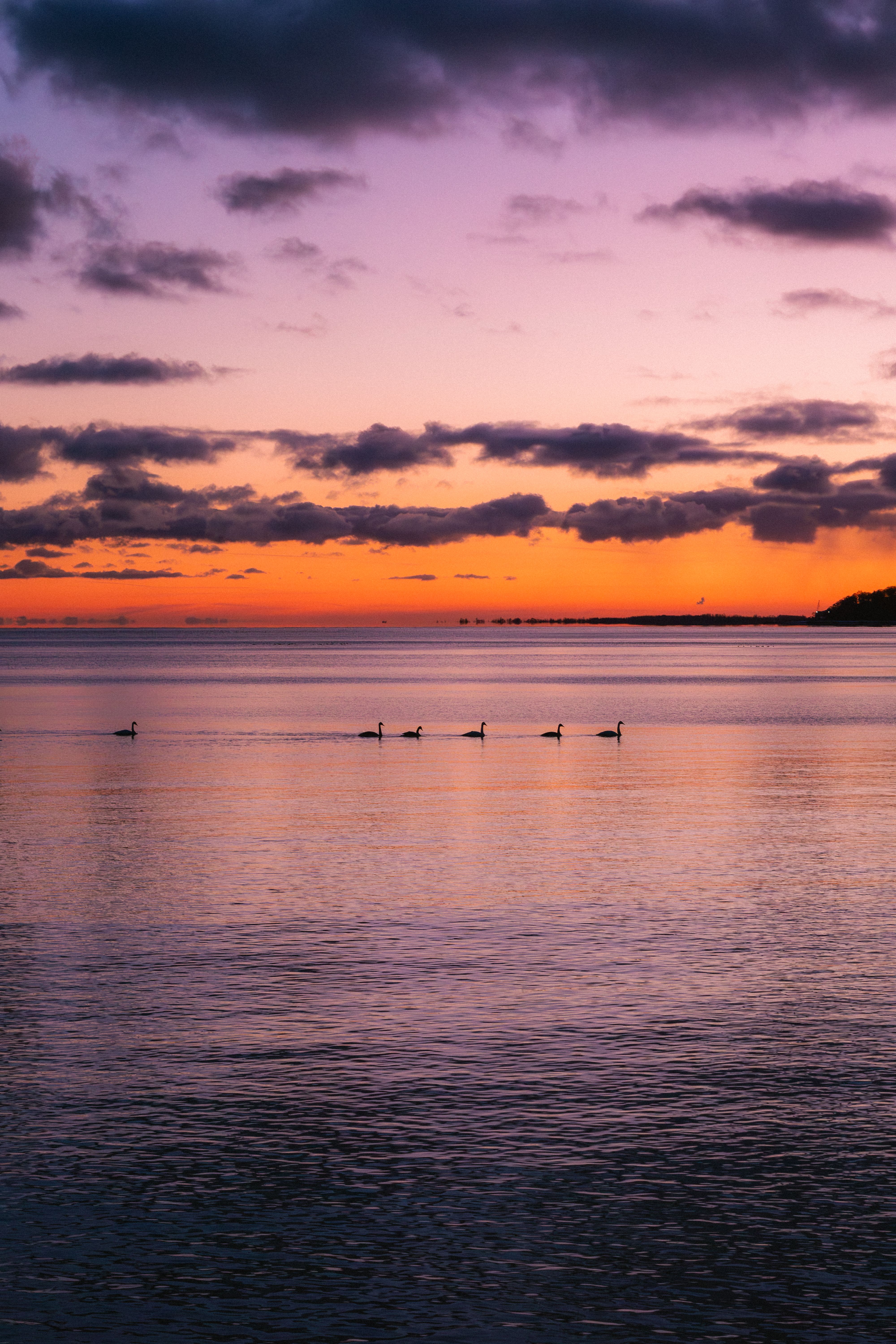Tranquil Sunset Over Lake Ontario in Toronto · Free Stock Photo