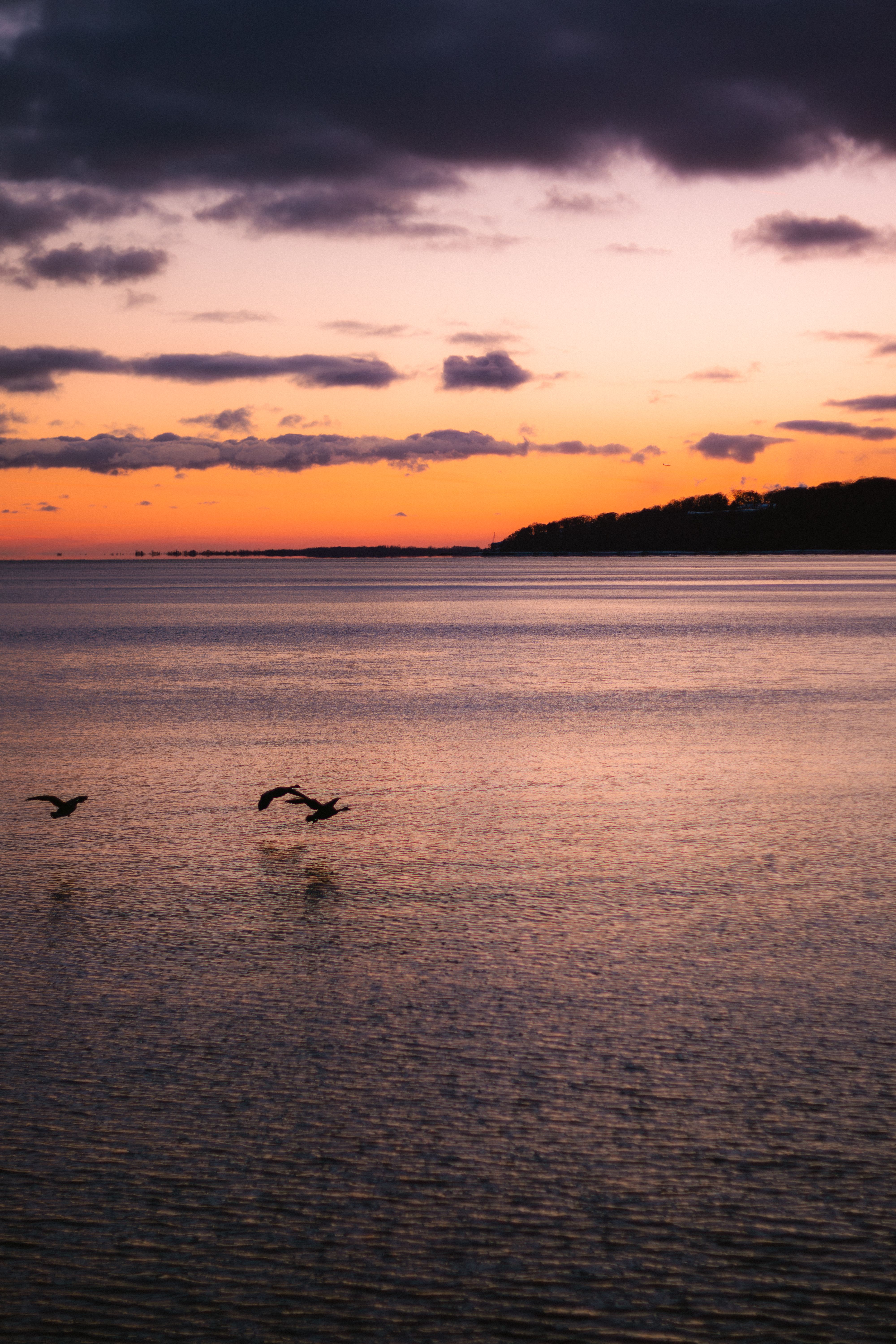 Stunning Sunset Over Lake Ontario with Birds · Free Stock Photo