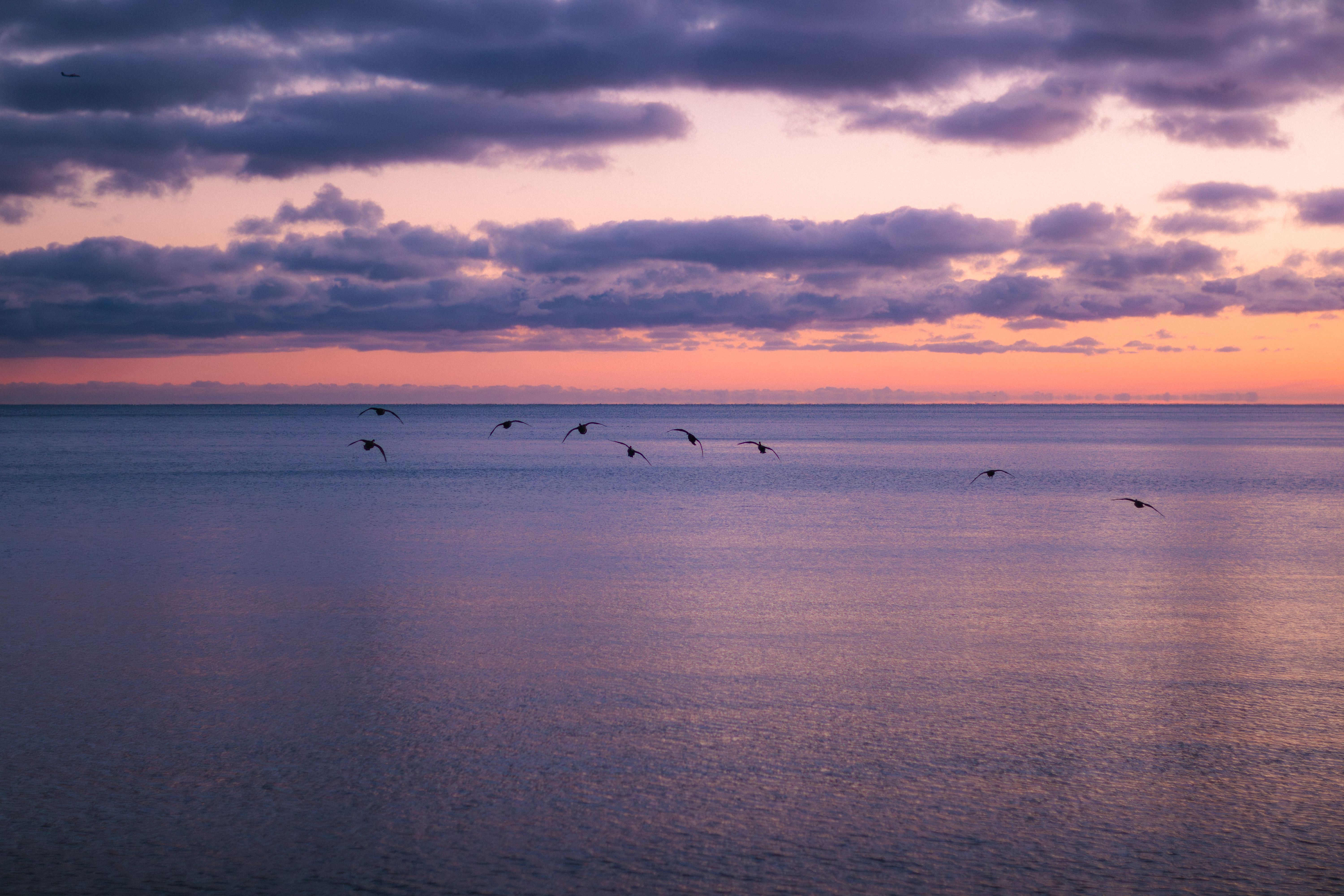 Serene Sunset Over Lake Ontario in Toronto · Free Stock Photo