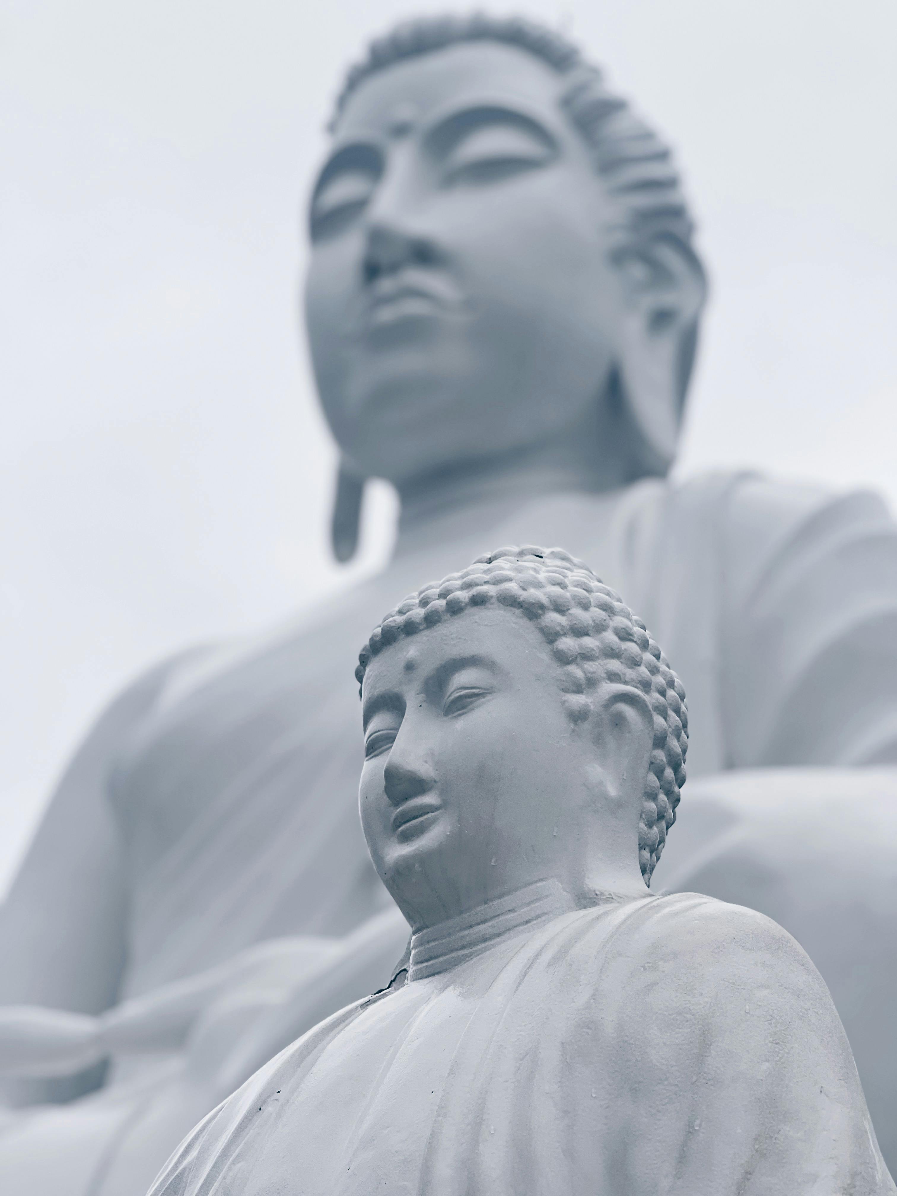 Two Buddhas Photos, Download The BEST Free Two Buddhas Stock Photos & HD Images