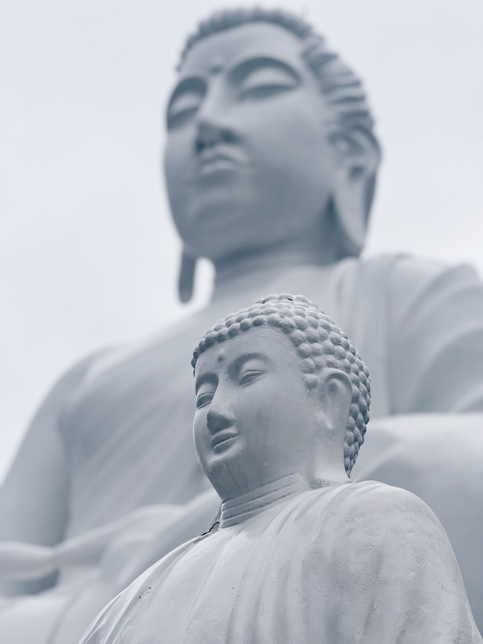 Buddha Images Photos, Download The BEST Free Buddha Images Stock Photos ...