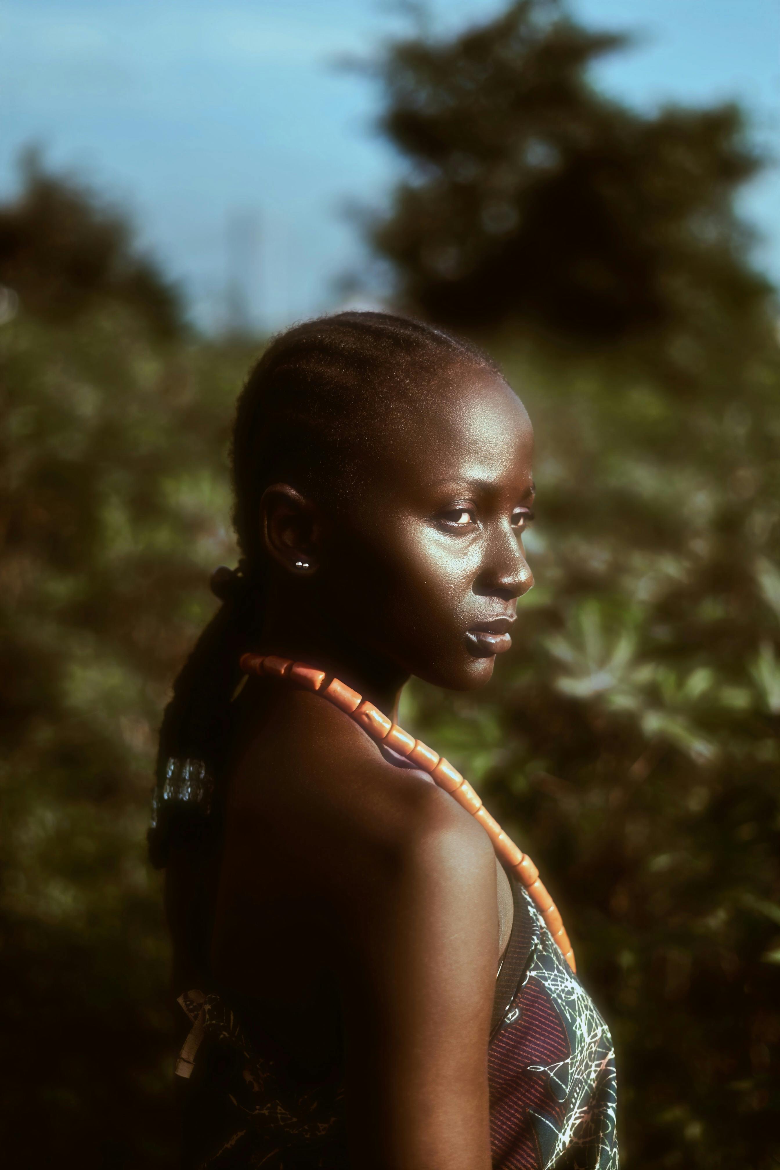 Striking Portrait of an African Woman in Nigerian Countryside · Free ...