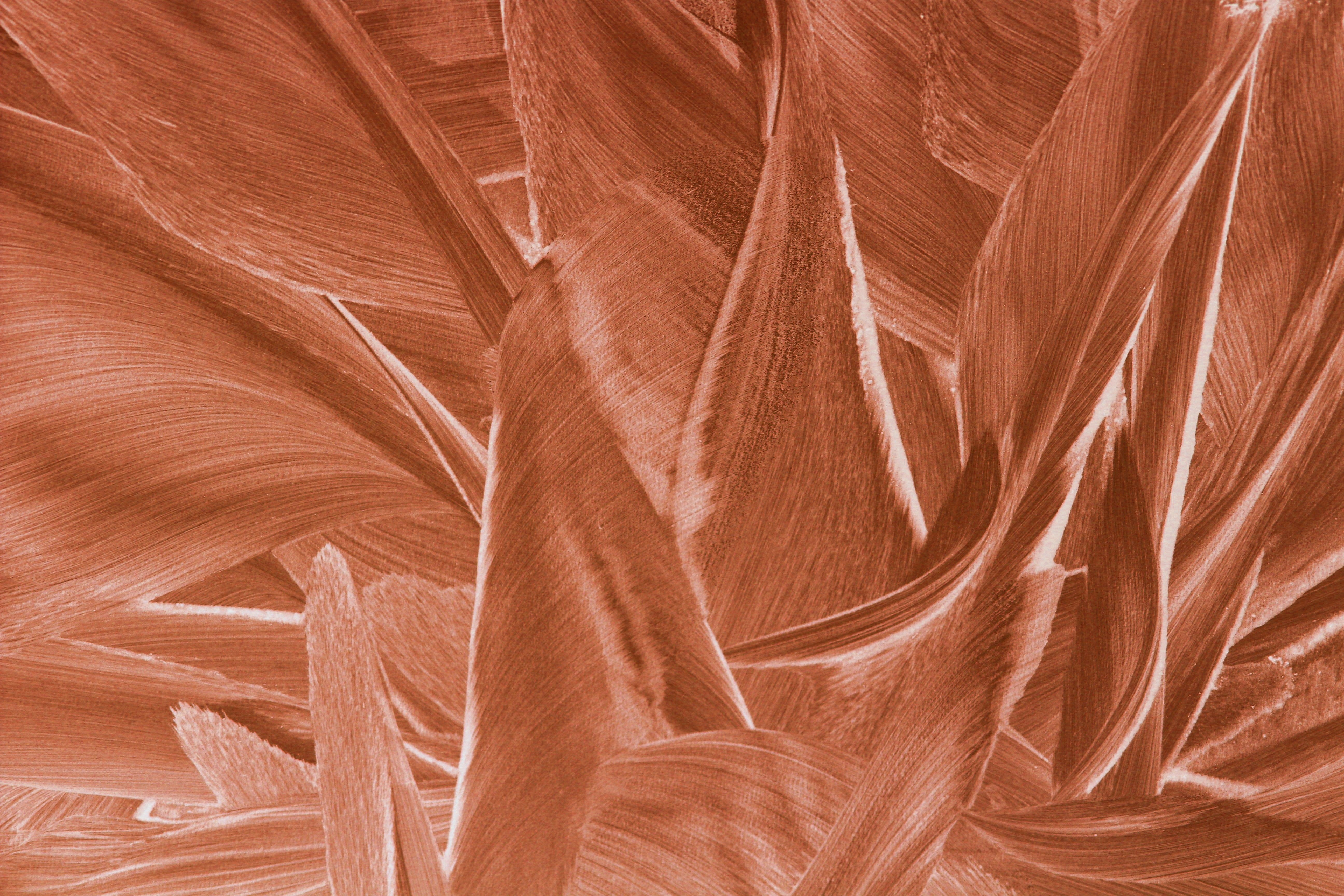Abstract Brown Texture with Brush Strokes · Free Stock Photo