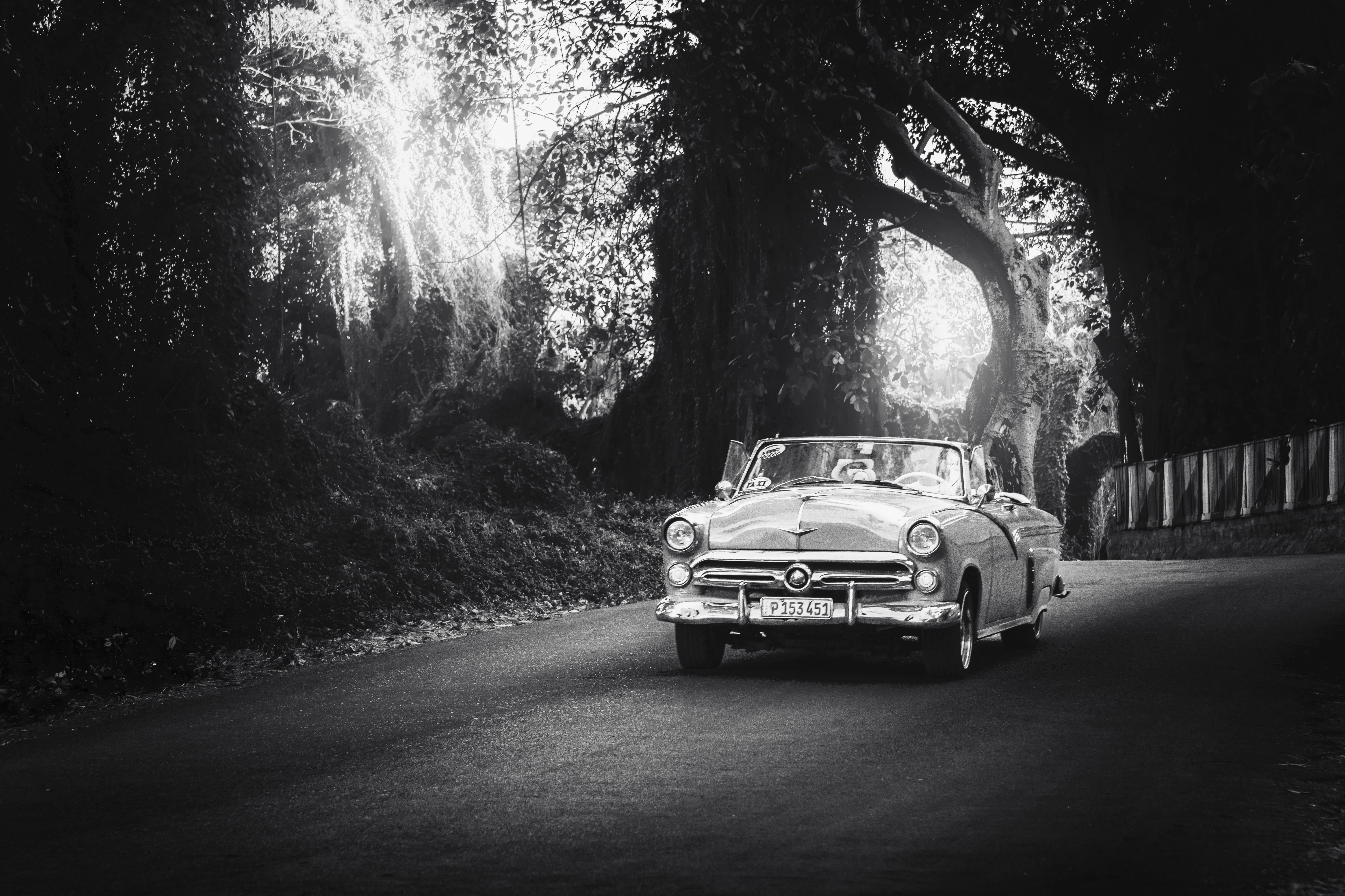 Classic Vintage Car on Scenic Forest Road · Free Stock Photo
