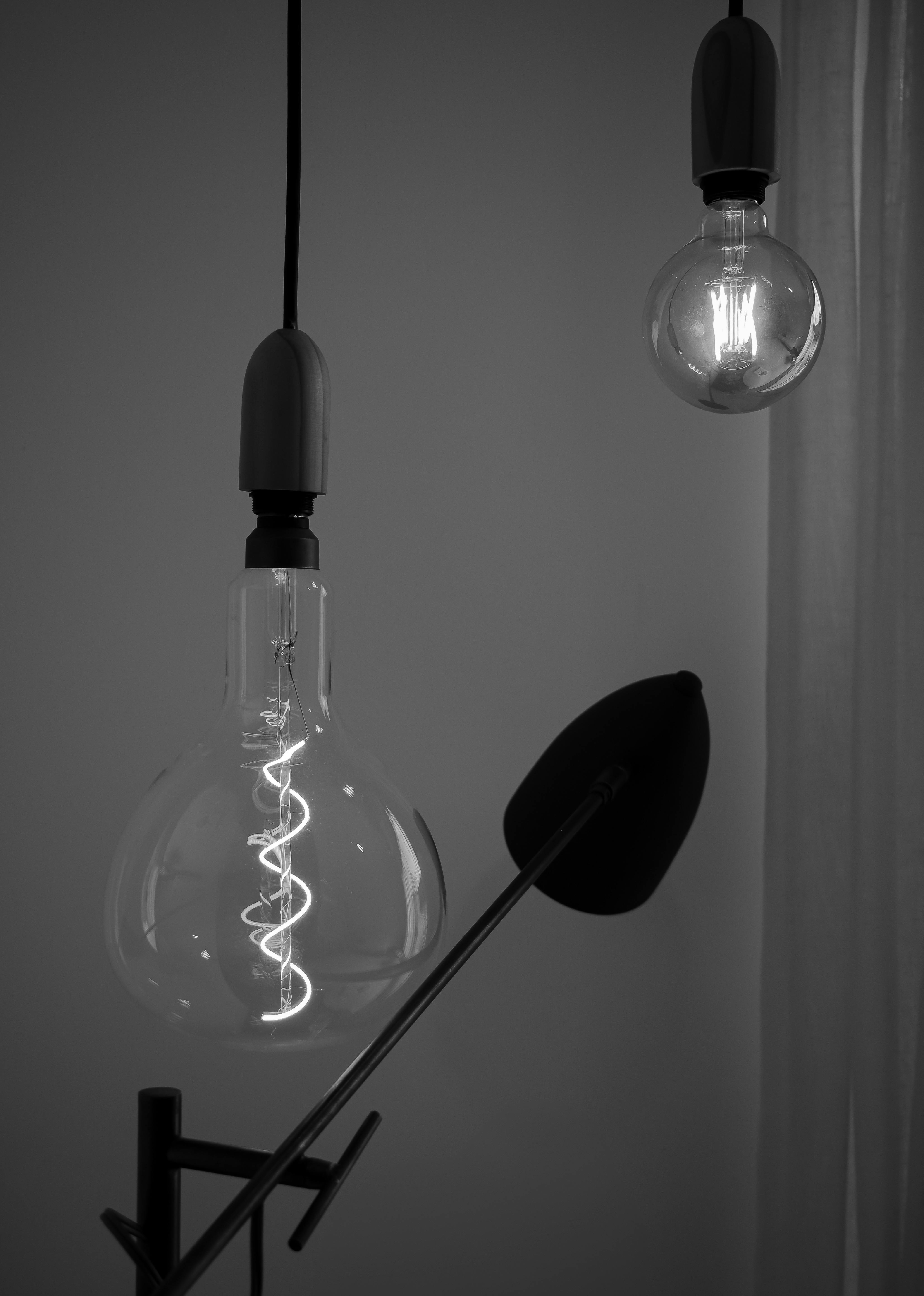 Black and White Close-Up of Hanging Light Bulbs · Free Stock Photo