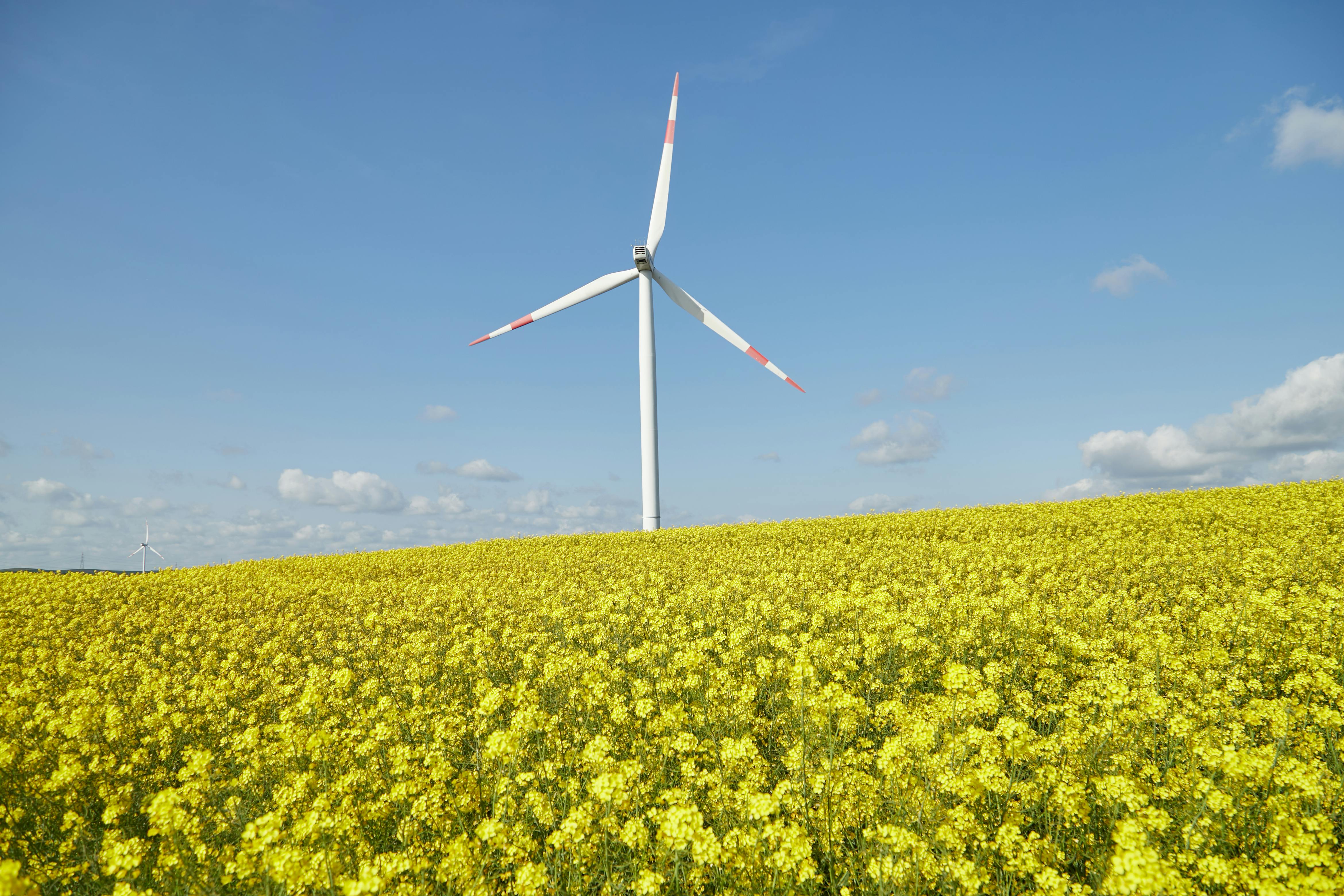 Singapore Noon Photos, Download The BEST Free Singapore Noon Stock ...