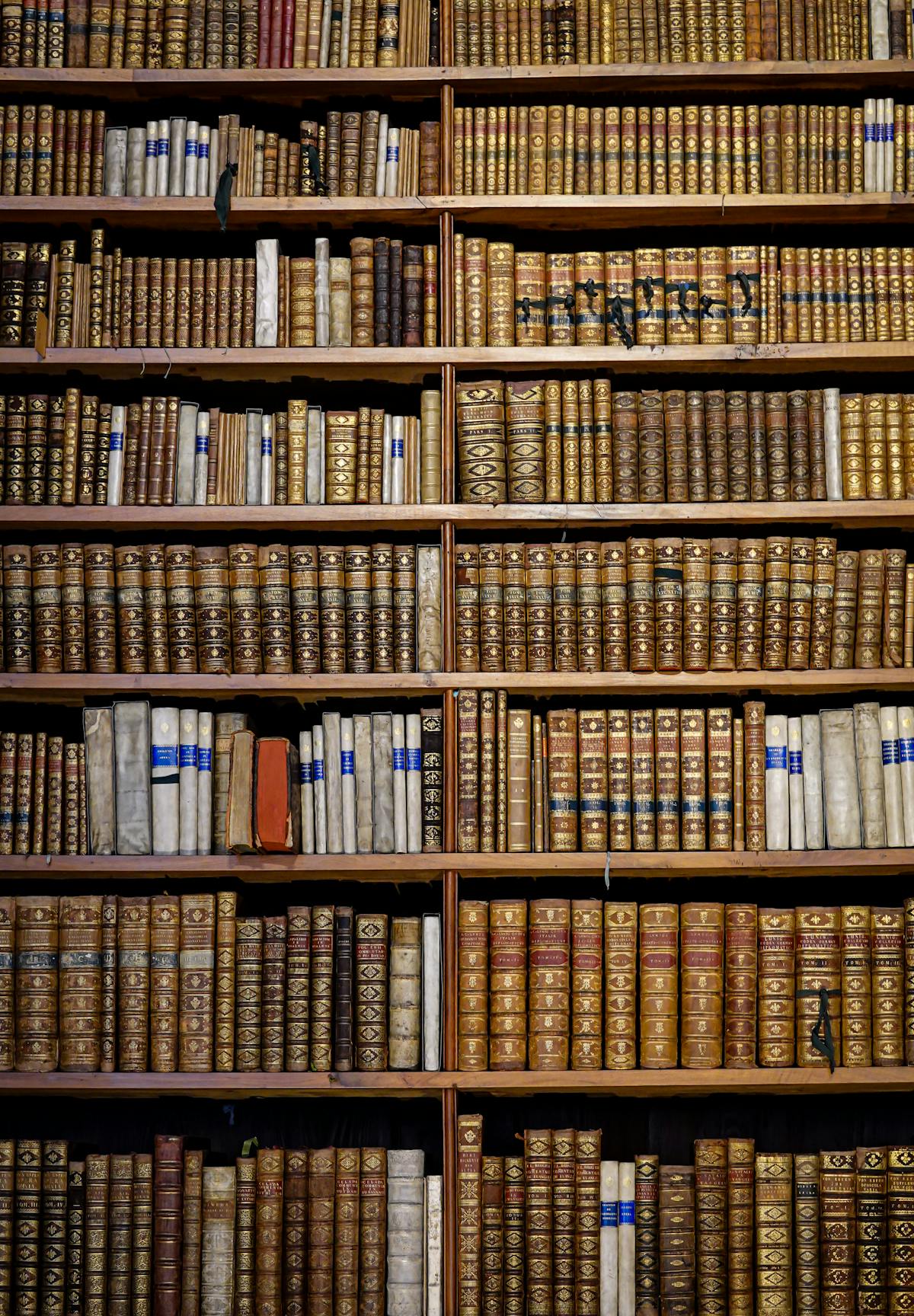 Library Books Photos, Download The BEST Free Library Books Stock Photos ...