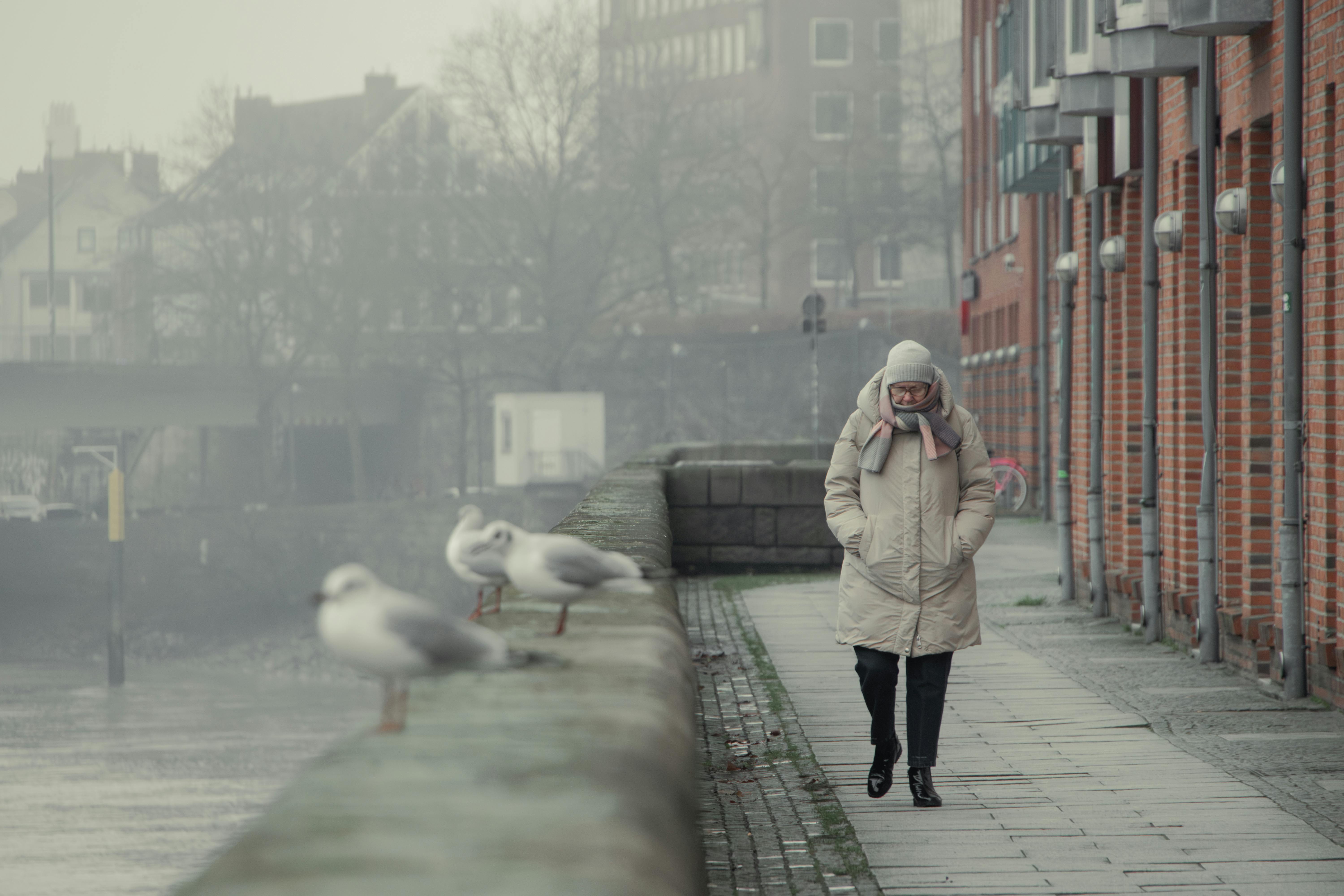 Winter Walk Along Foggy Bremen Riverside · Free Stock Photo
