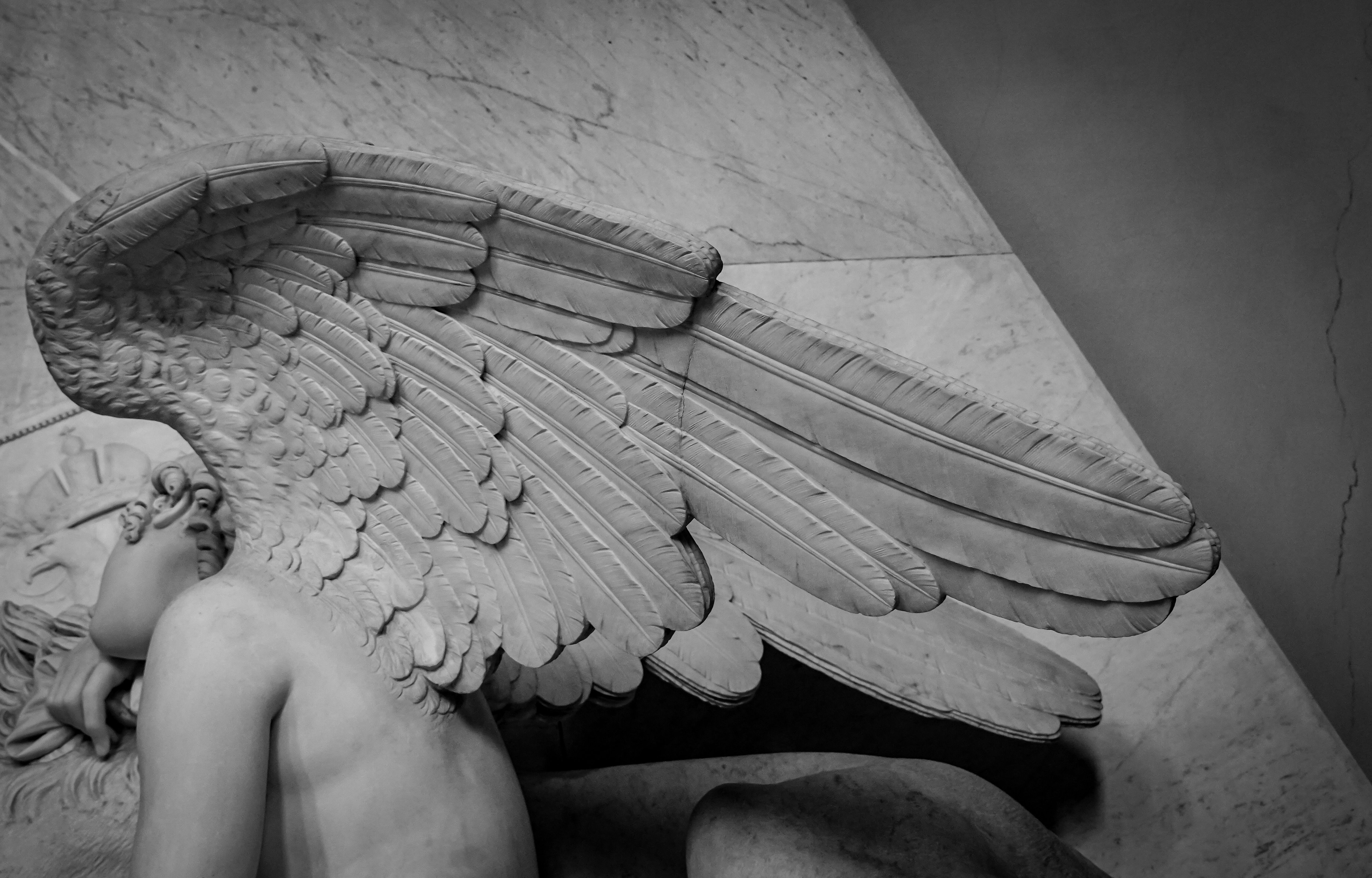 Elegant Marble Angel Wing Sculpture in Museum · Free Stock Photo