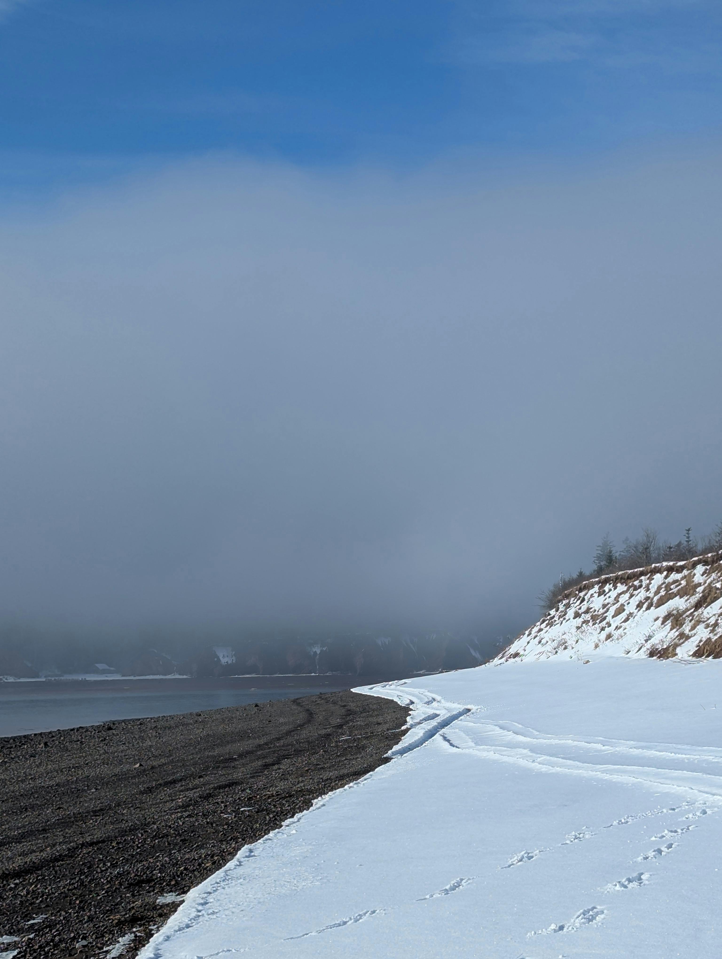 Winter Desert · Free Stock Photo