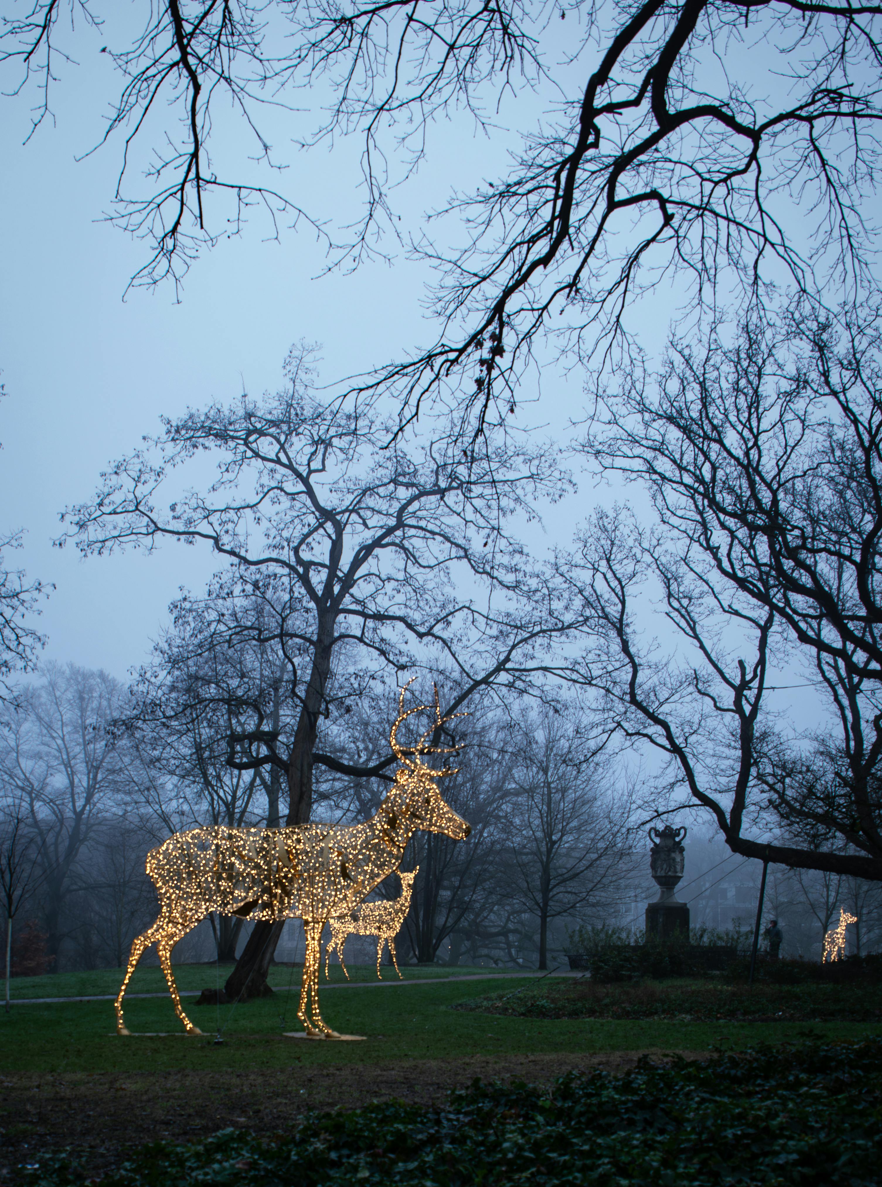 9.307+ Fotos y Imágenes de Esca artificial Gratis · Banco de Fotos Gratis