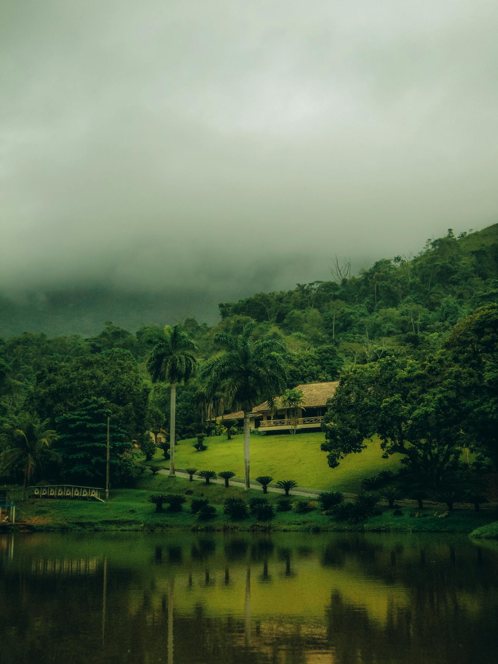 Tropical Rainforest Photos, Download The BEST Free Tropical Rainforest ...