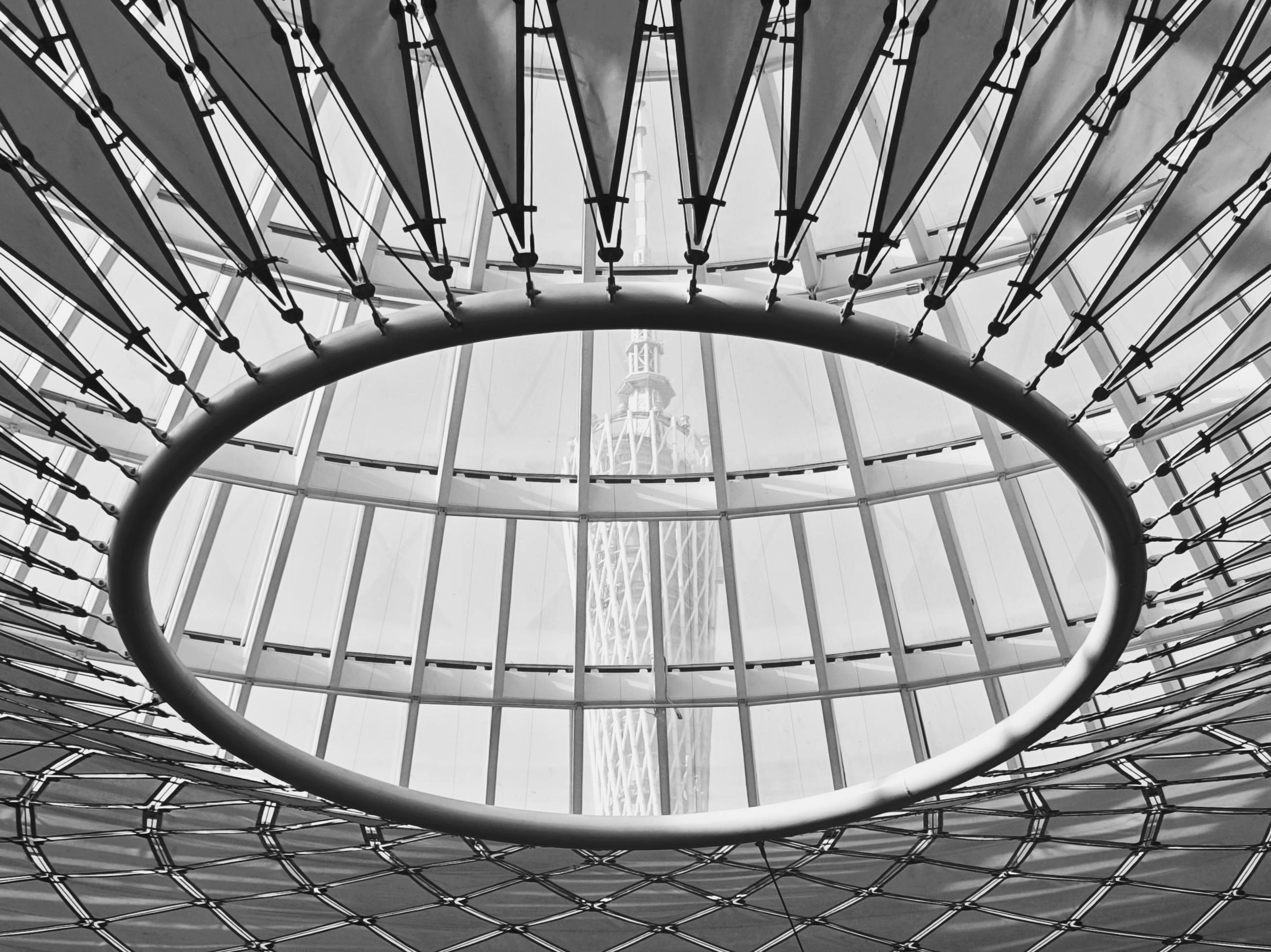 Linjie Zhang - 摄影