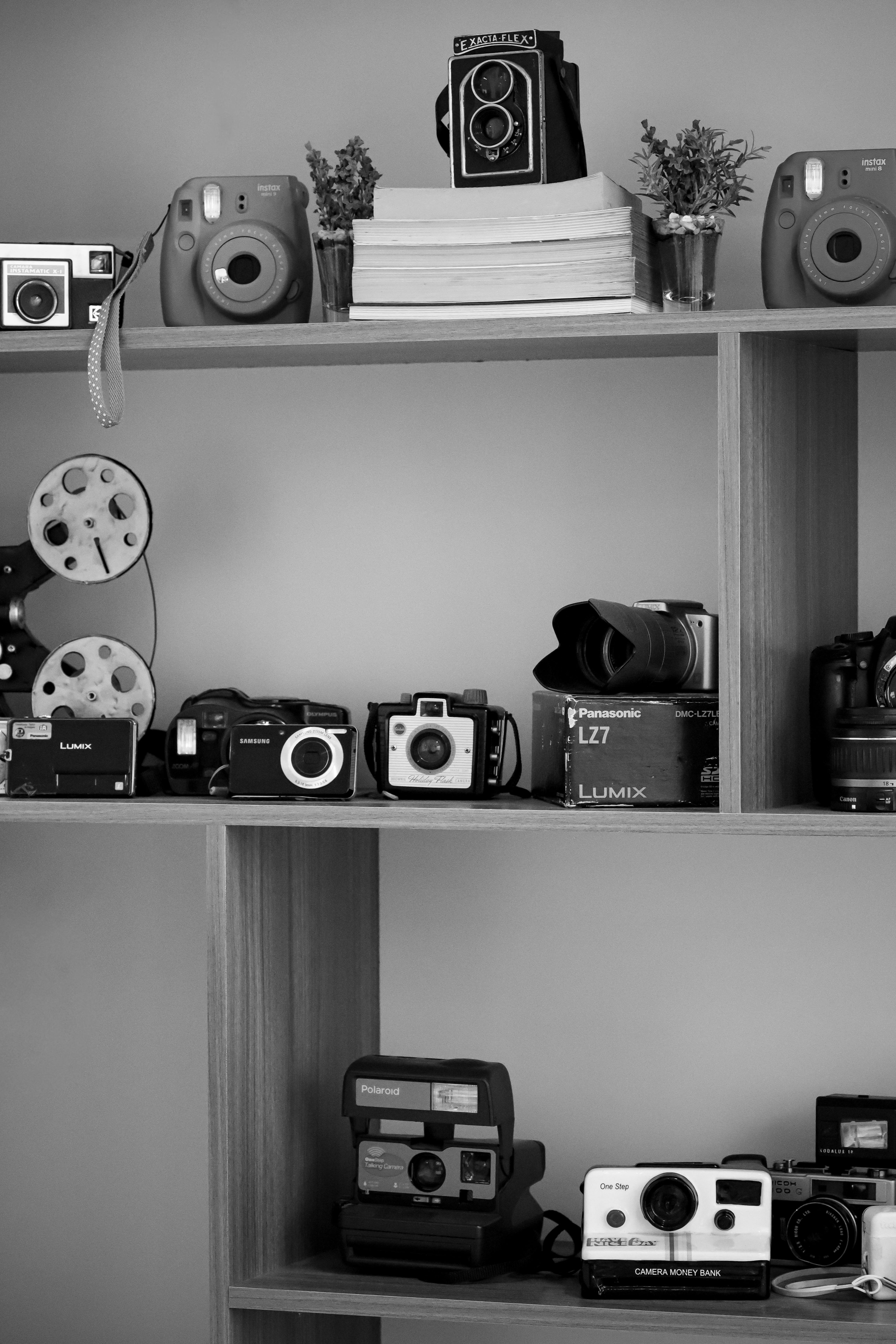Vintage and Modern Camera Collection Display · Free Stock Photo