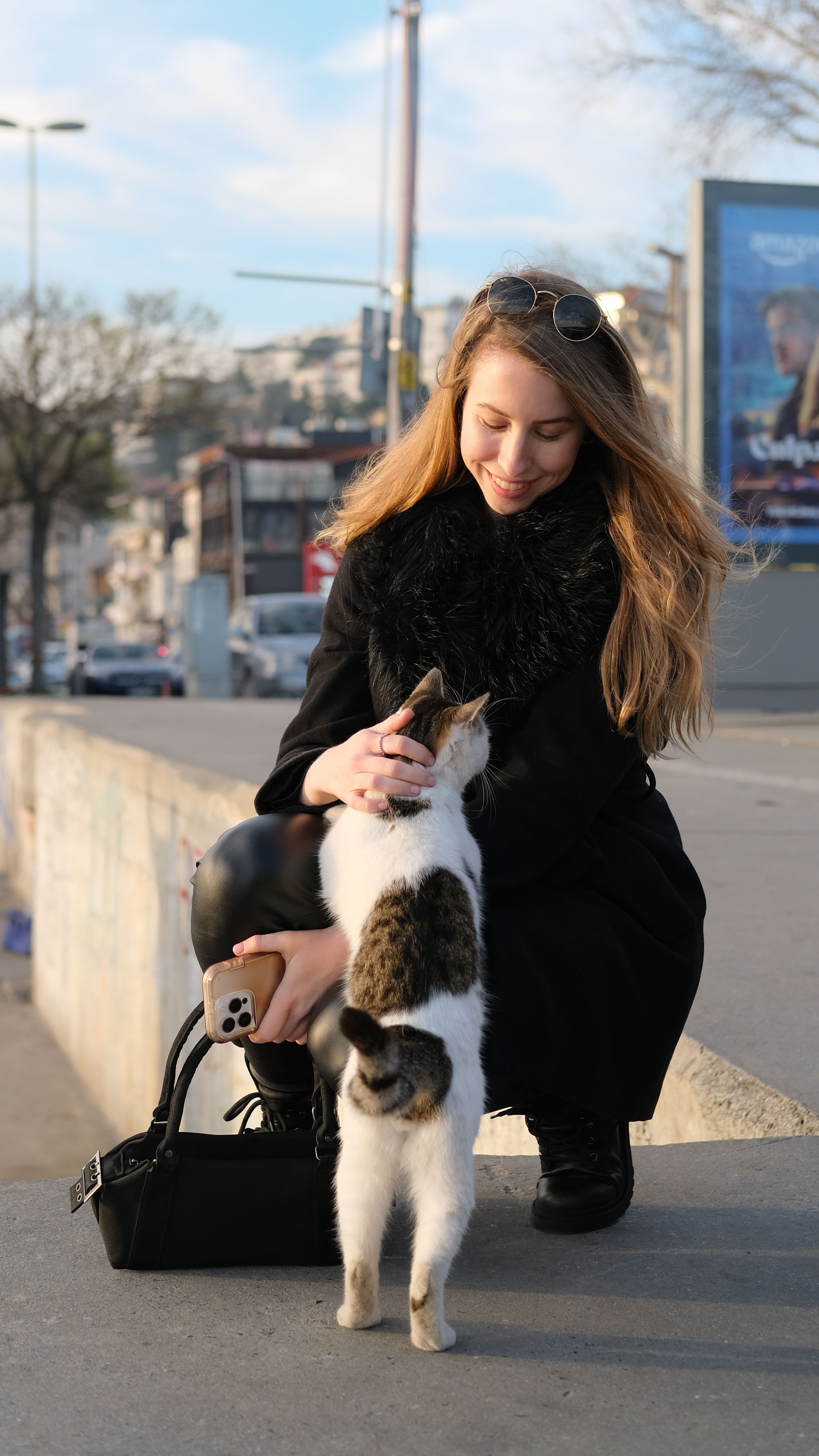 Cat Europe Photos, Download The BEST Free Cat Europe Stock Photos & HD ...