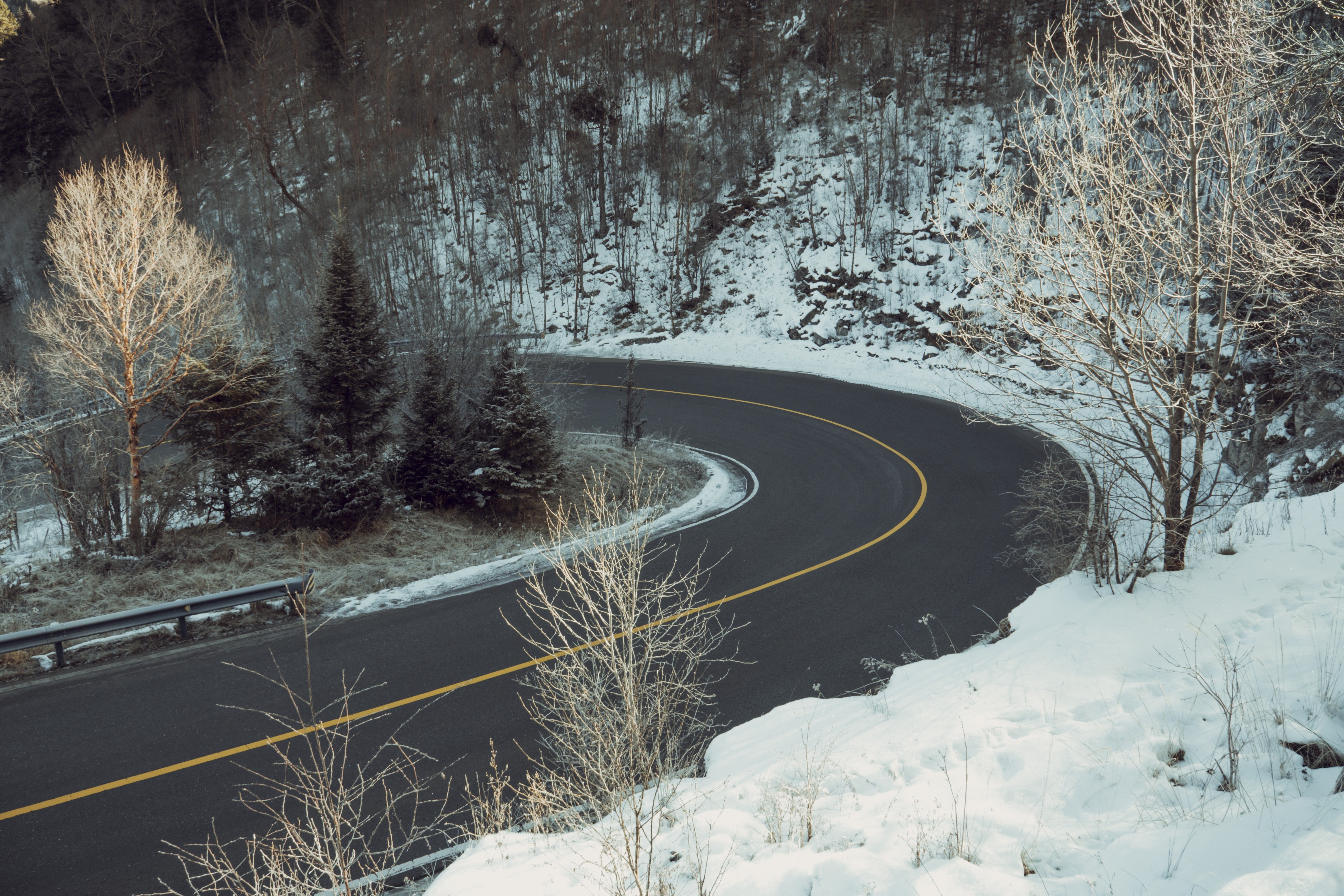 Snowy Mountain Road in Winter Forest · Free Stock Photo