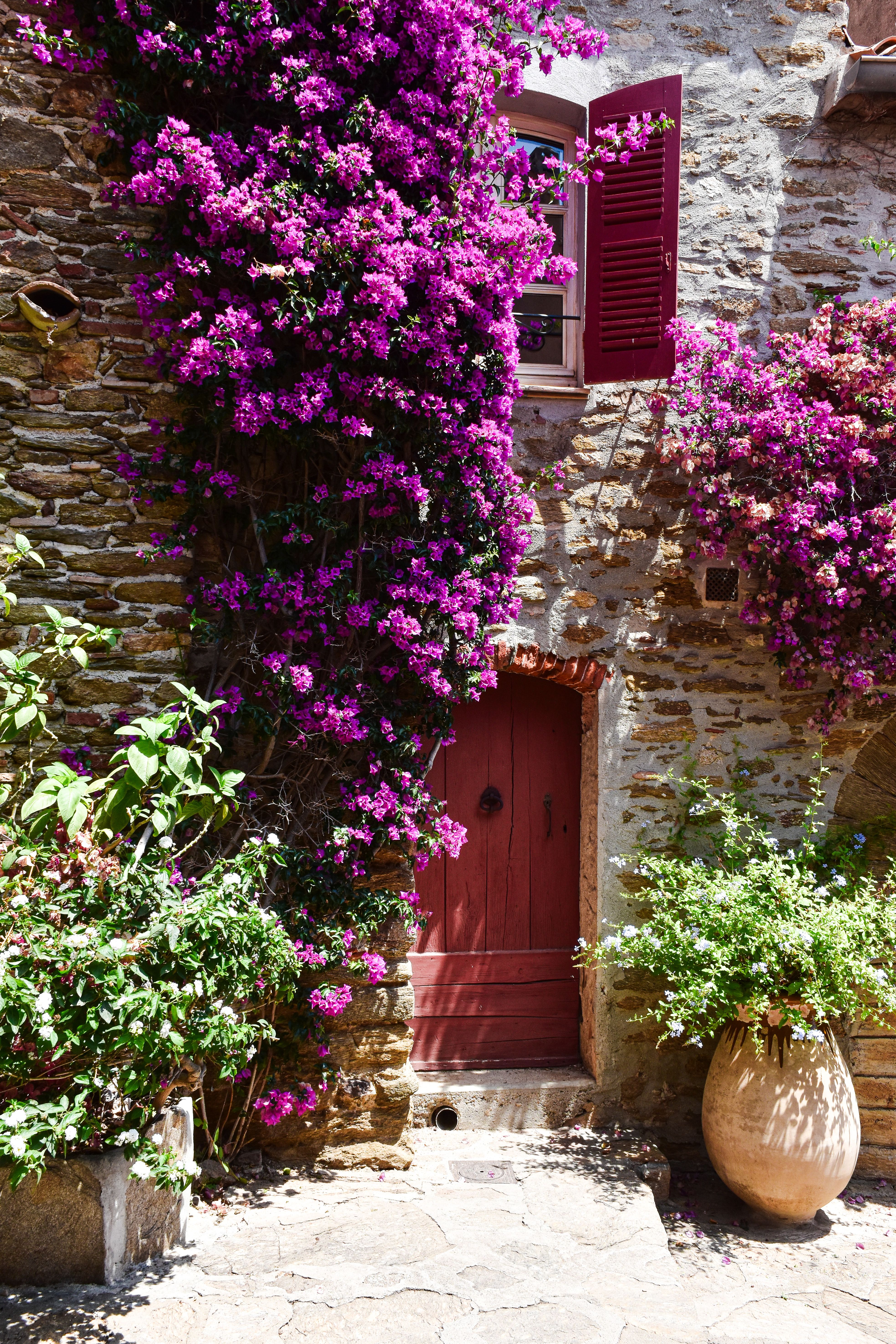 Charming French Village House with Purple Flowers · Free Stock Photo