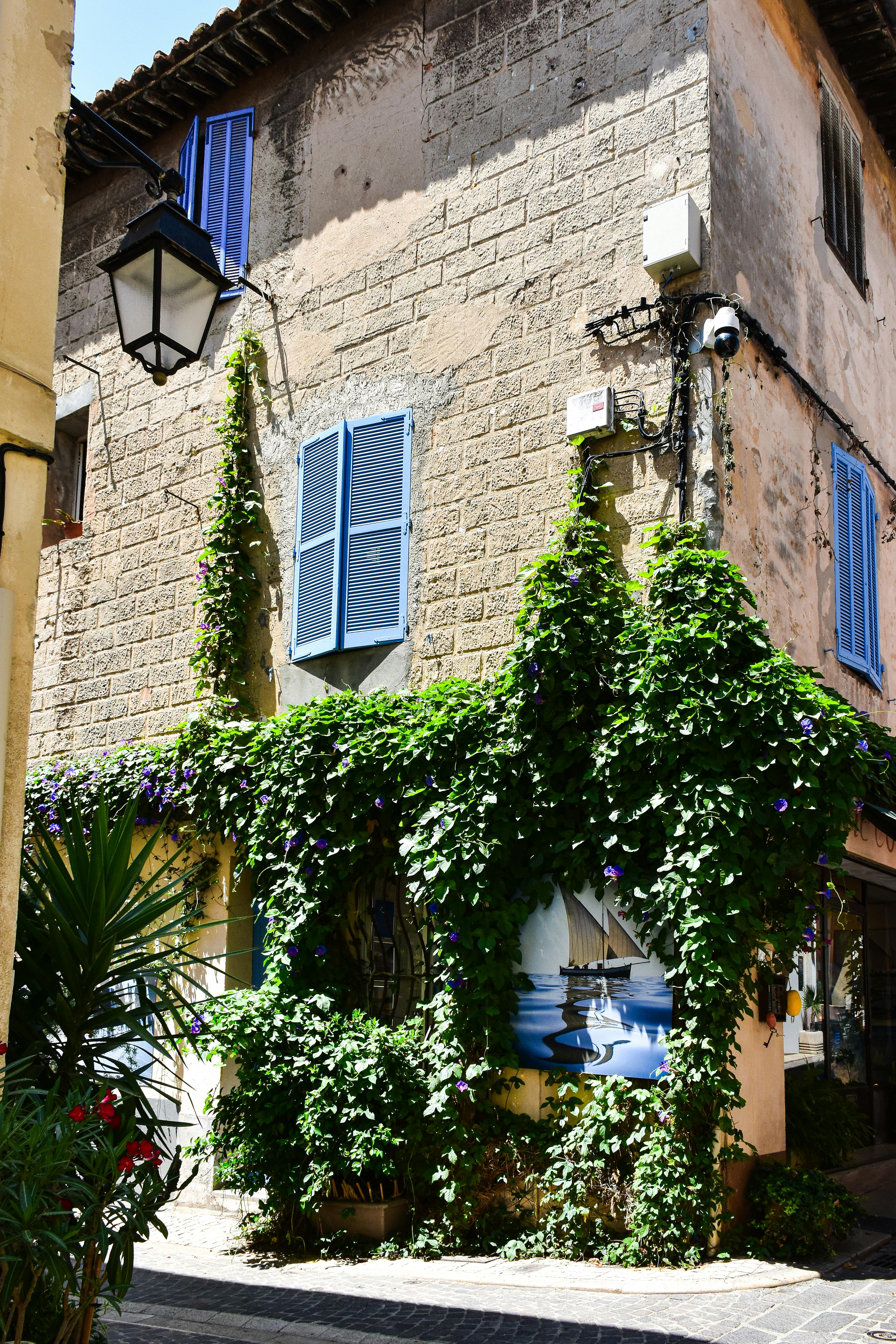 Charming Ivy-Covered House in Cassis, France · Free Stock Photo