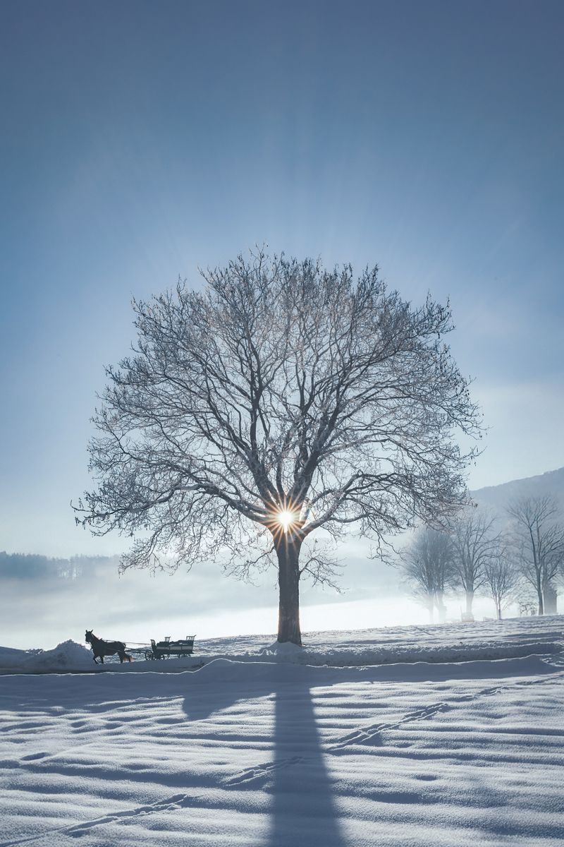 Winter Sun Photos, Download The BEST Free Winter Sun Stock Photos & HD ...