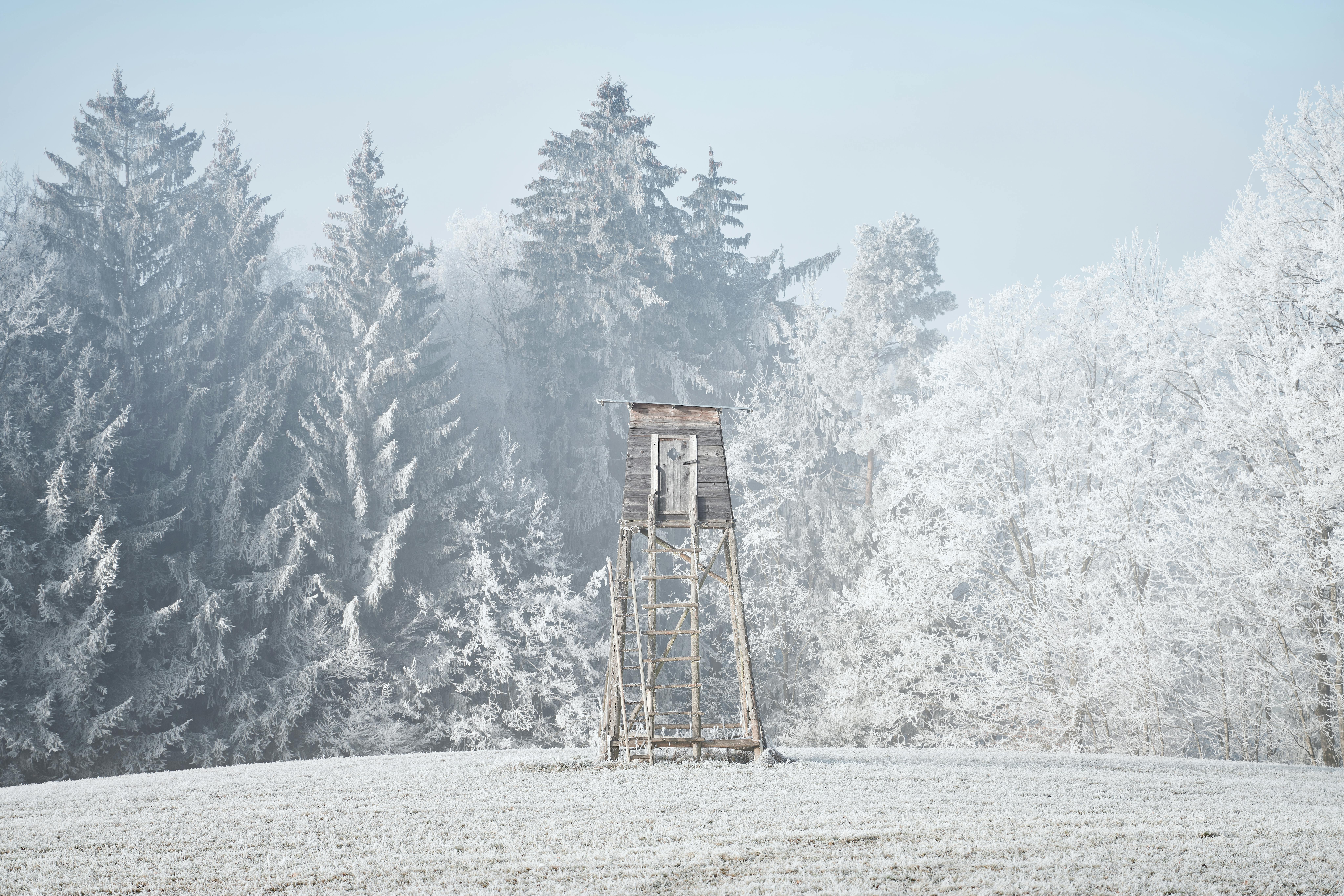 Watch Tower Photos, Download The BEST Free Watch Tower Stock Photos ...