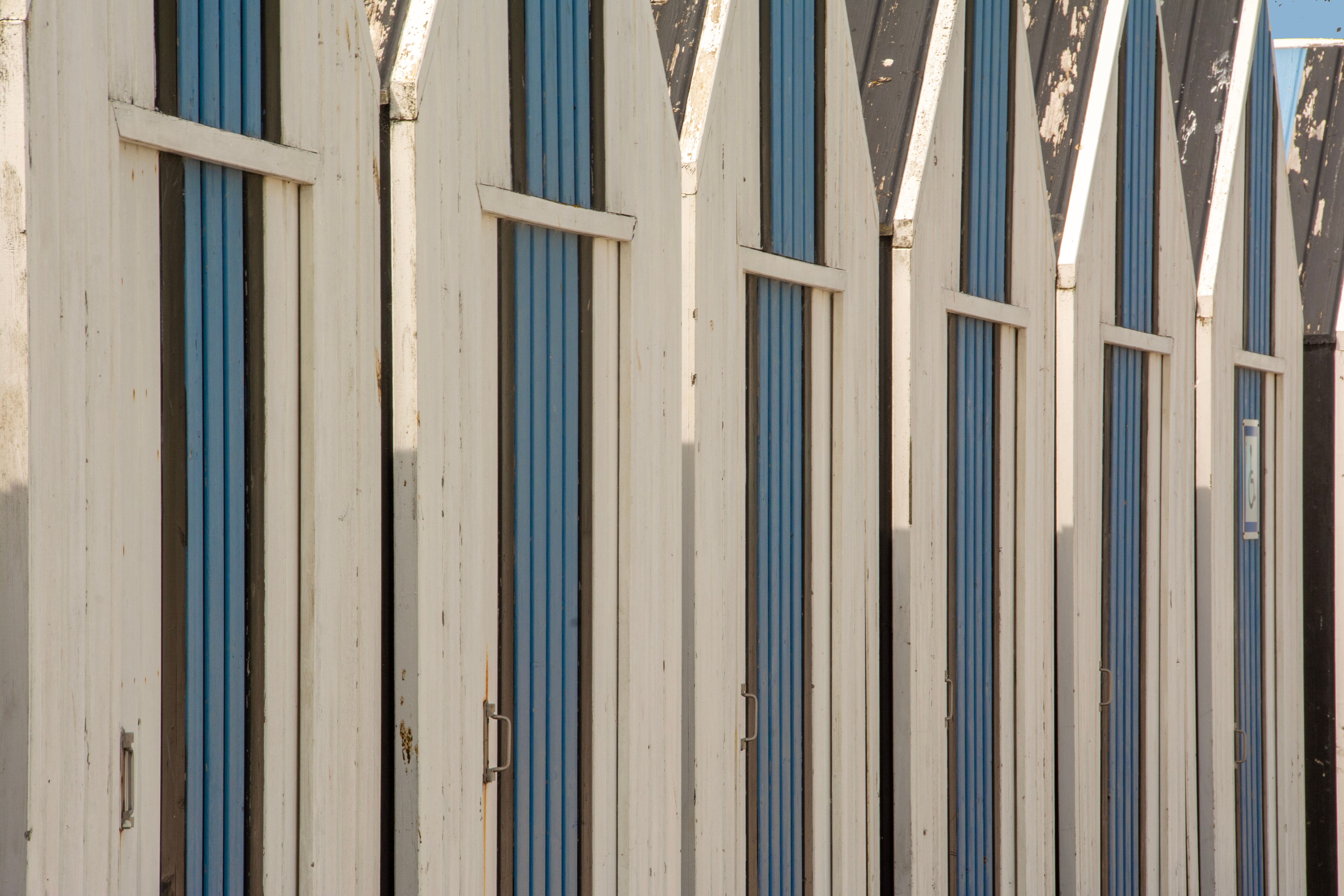 Row Of Ants Photos, Download The BEST Free Row Of Ants Stock Photos ...