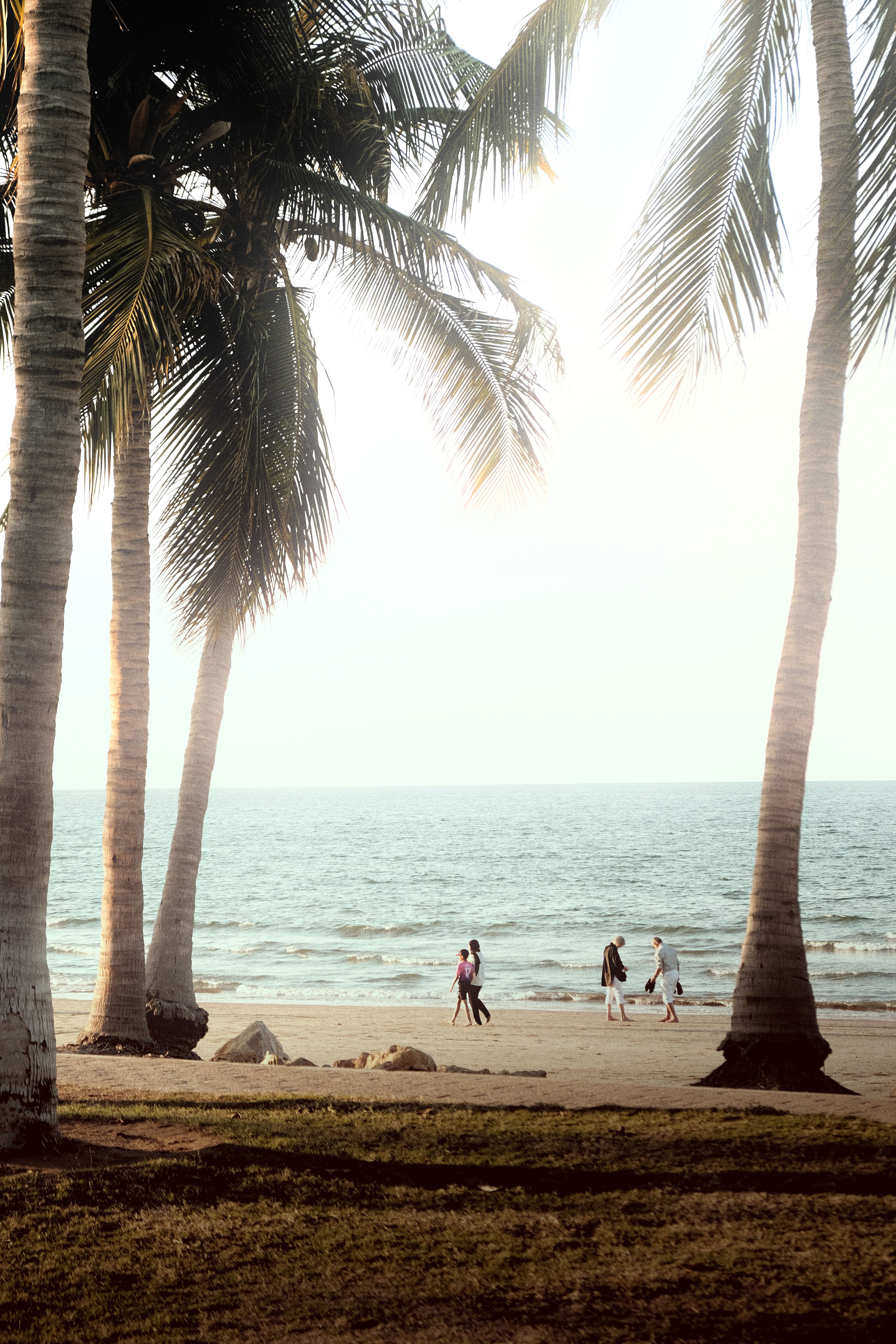 Tranquil Beach Walk in Muscat, Oman · Free Stock Photo
