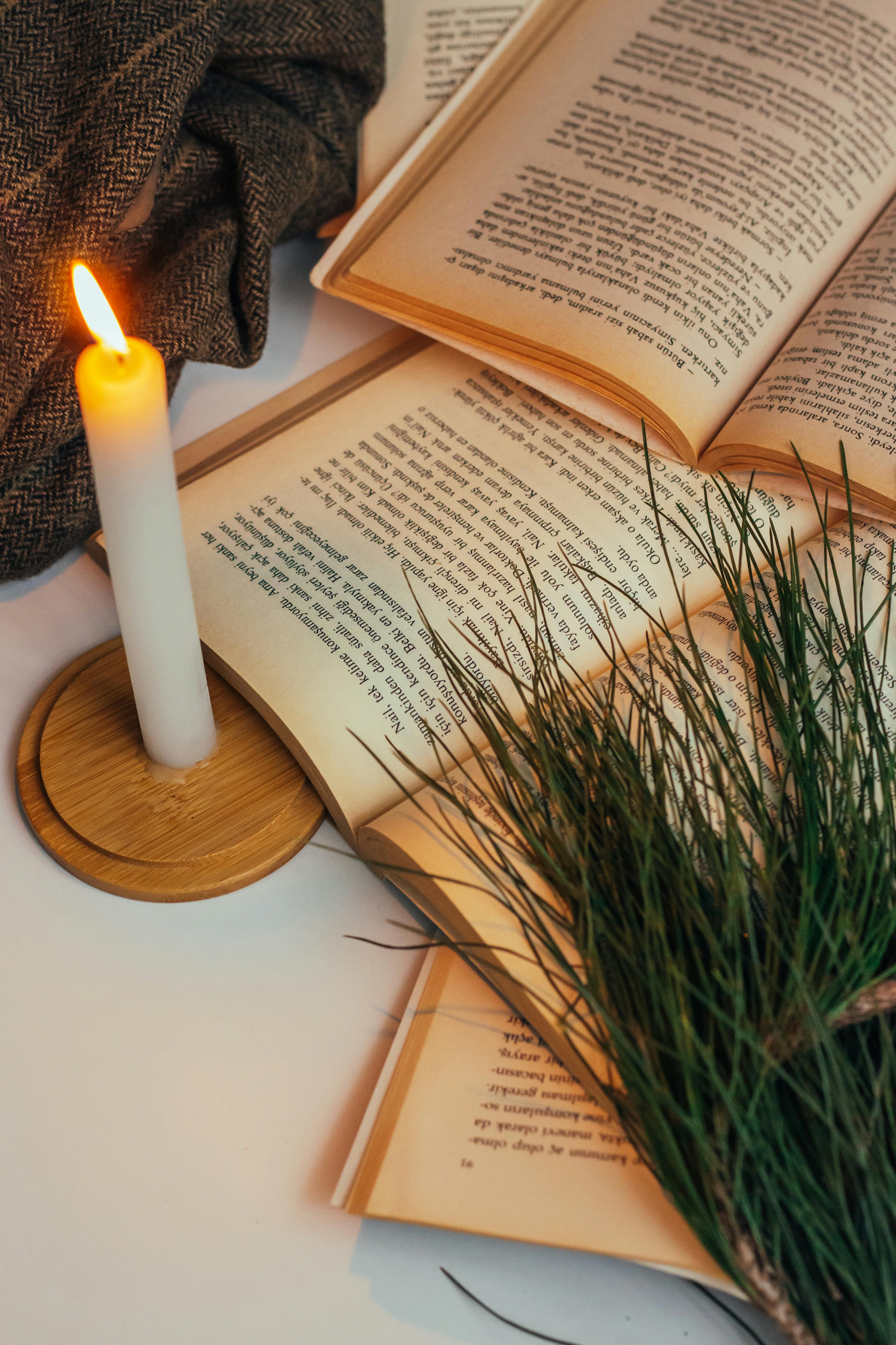 Text Elektronik Photos, Download The BEST Free Text Elektronik Stock ...