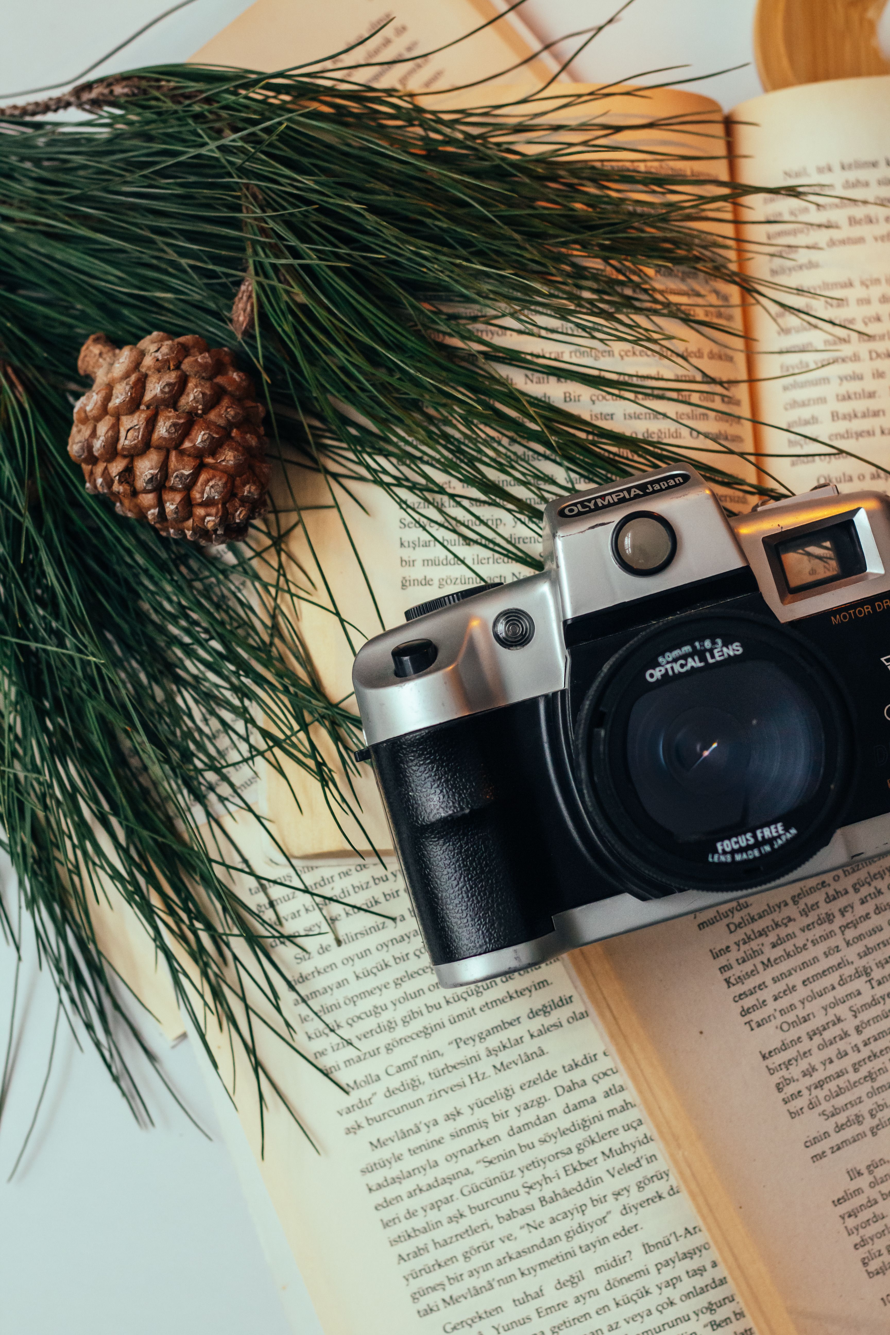 Vintage Camera with Pine and Open Book · Free Stock Photo