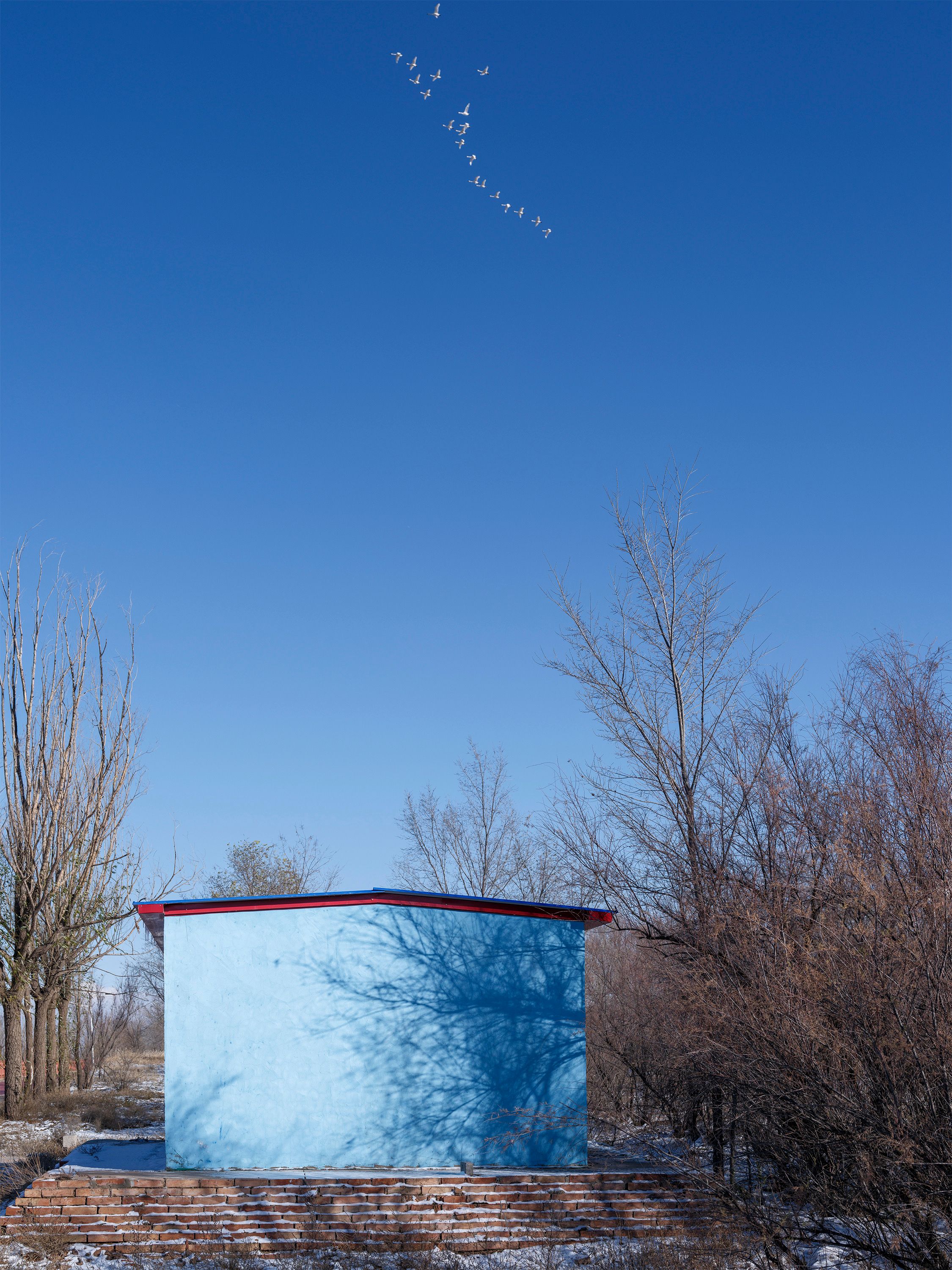 Blue Building with Birds in Clear Sky · Free Stock Photo
