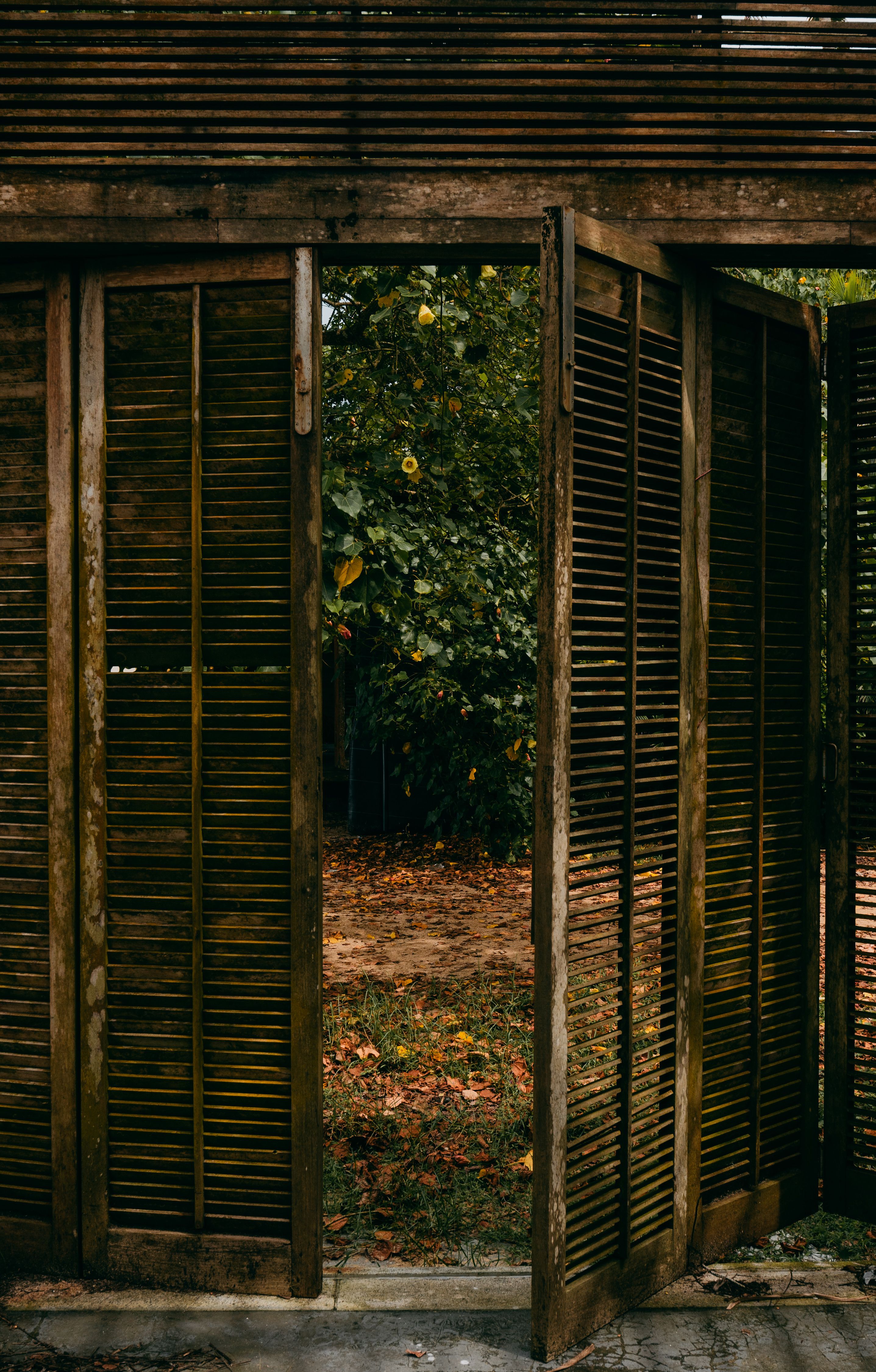 Rustic Wooden Doorway Opening to Lush Garden · Free Stock Photo