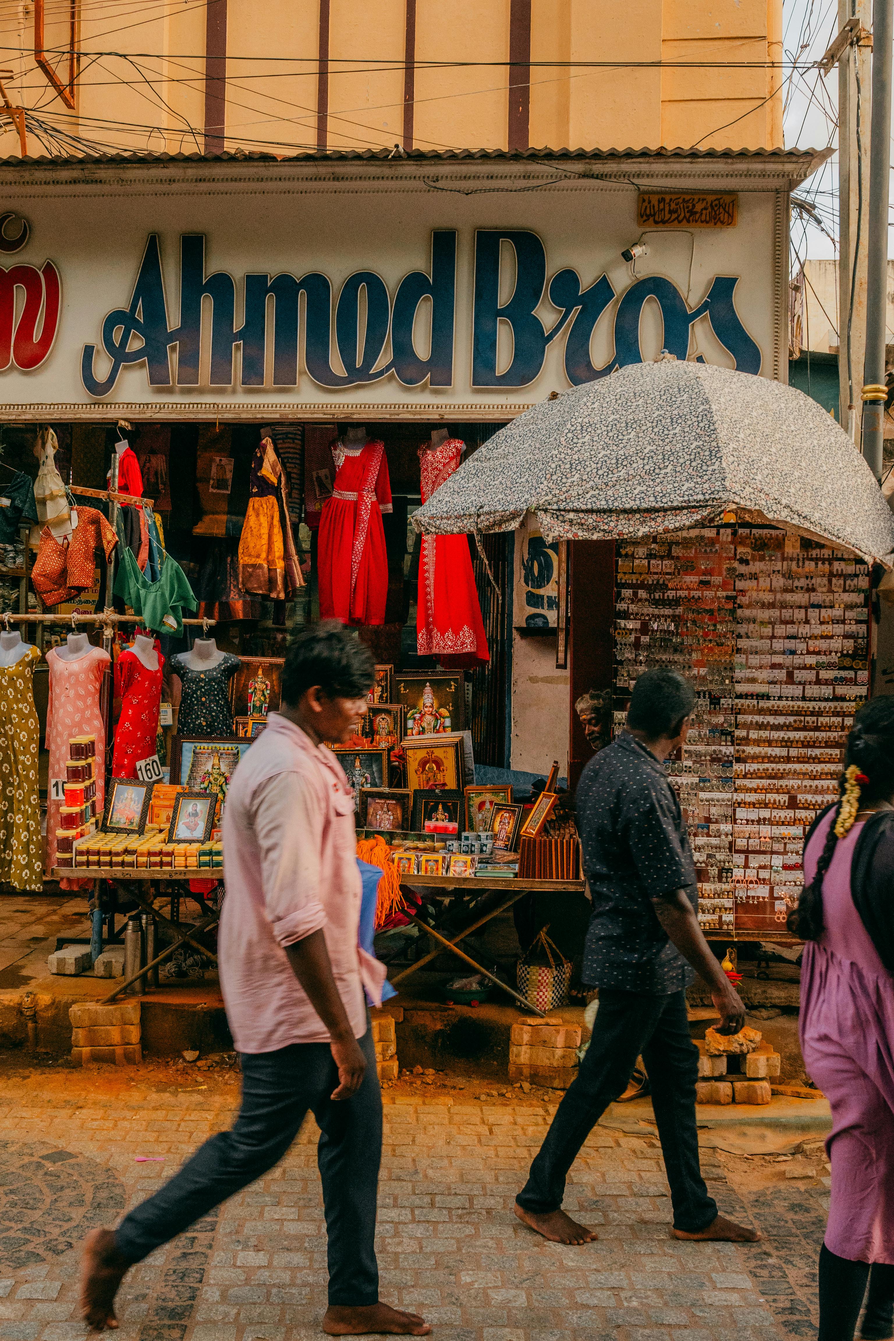 Jungle Shop Photos, Download The BEST Free Jungle Shop Stock Photos ...