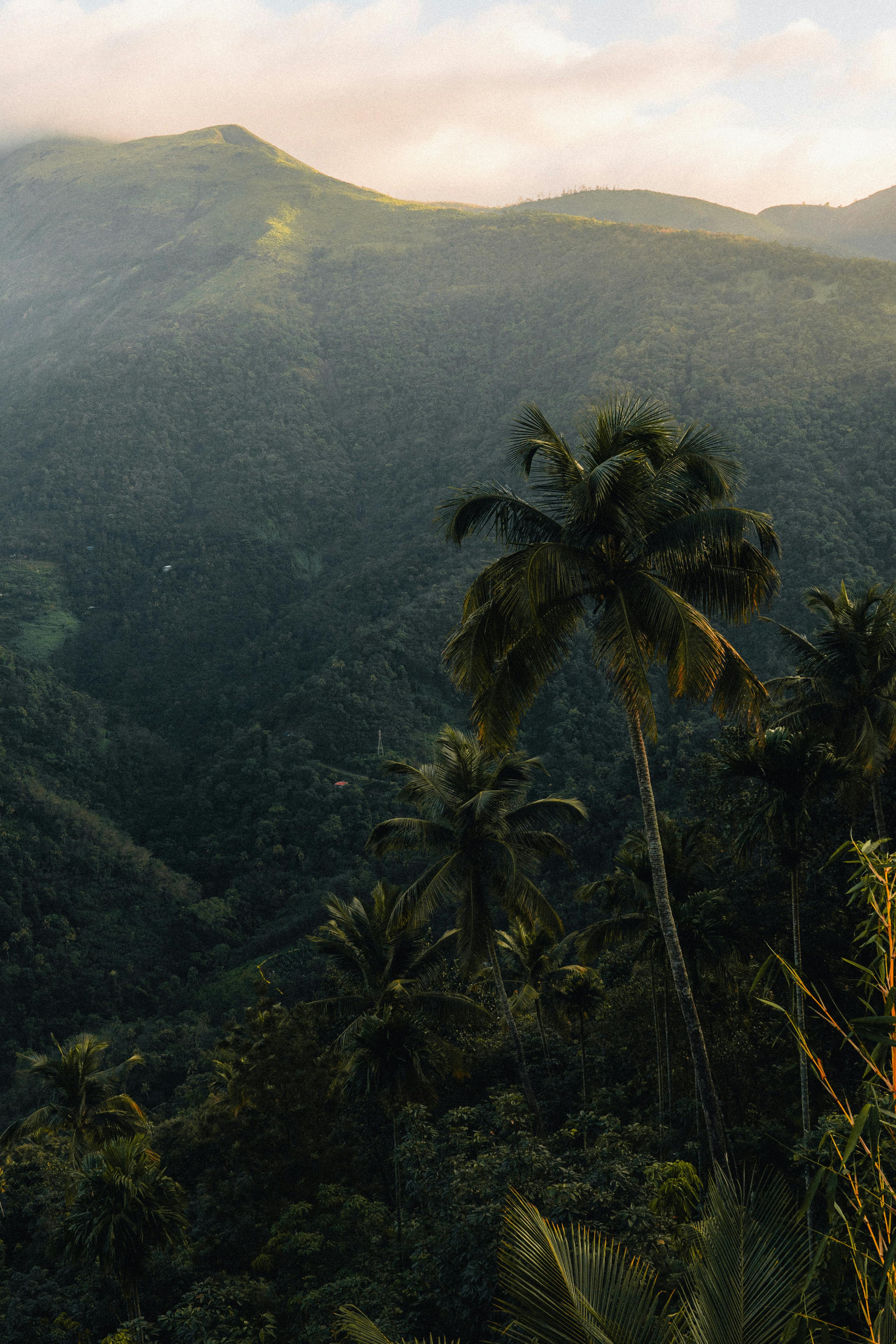 Mount Mountain Ranges Photos, Download The BEST Free Mount Mountain ...