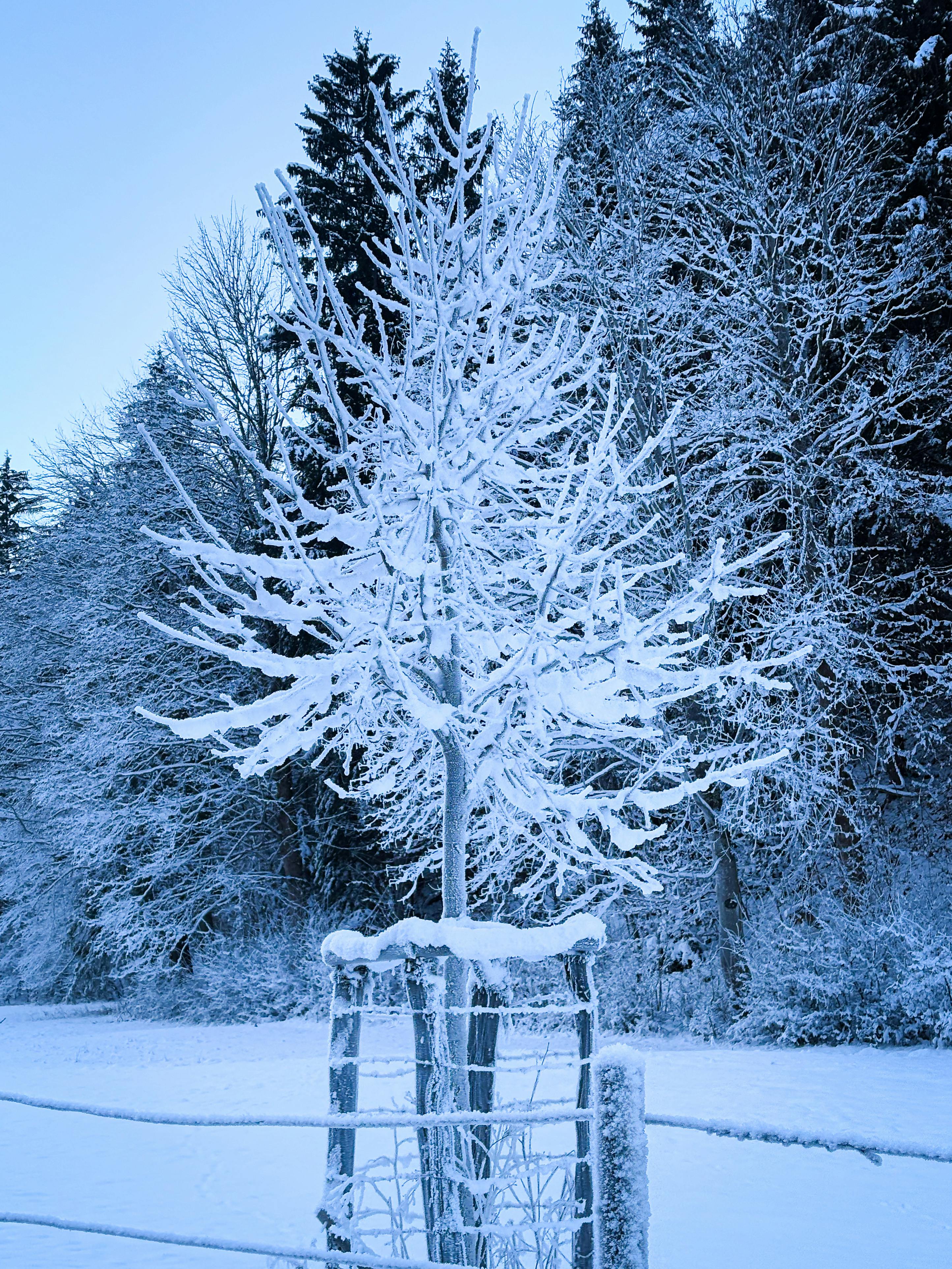 Blue Cold Photos, Download The BEST Free Blue Cold Stock Photos & HD Images