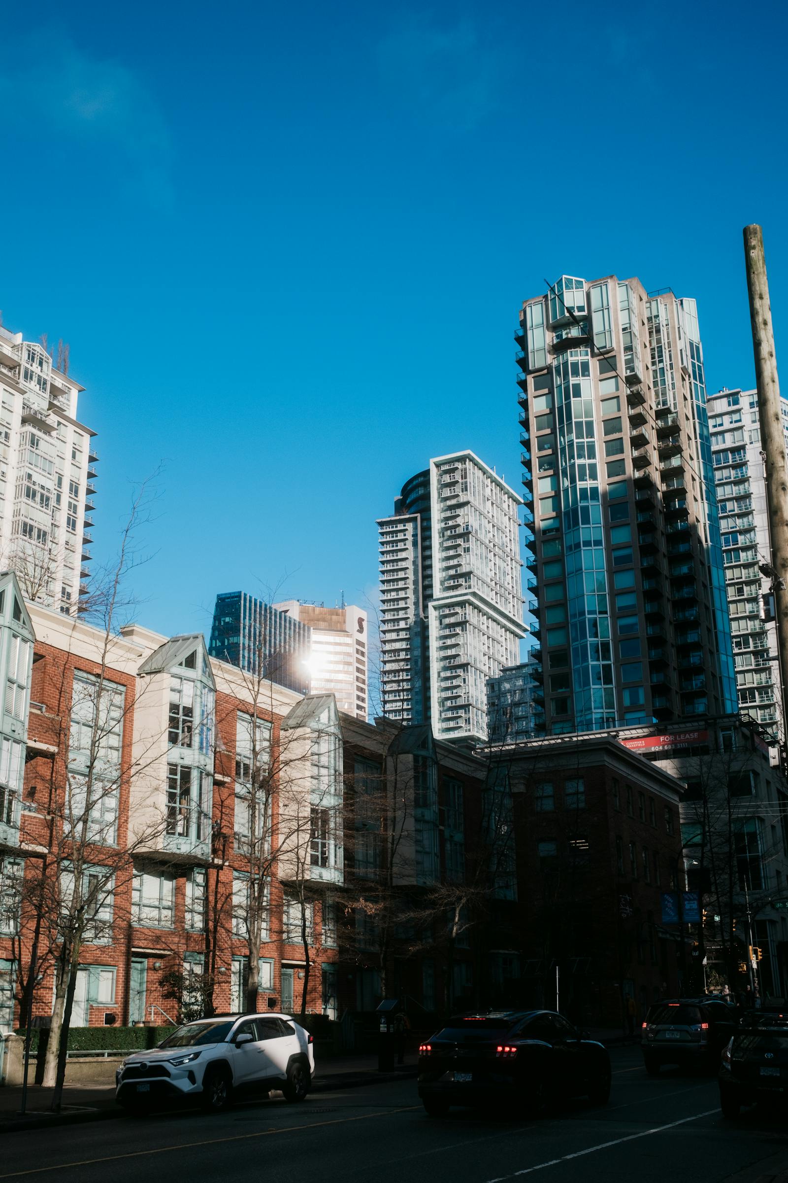 Free Commercial Use Photos, Download The BEST Free Free Commercial Use ...