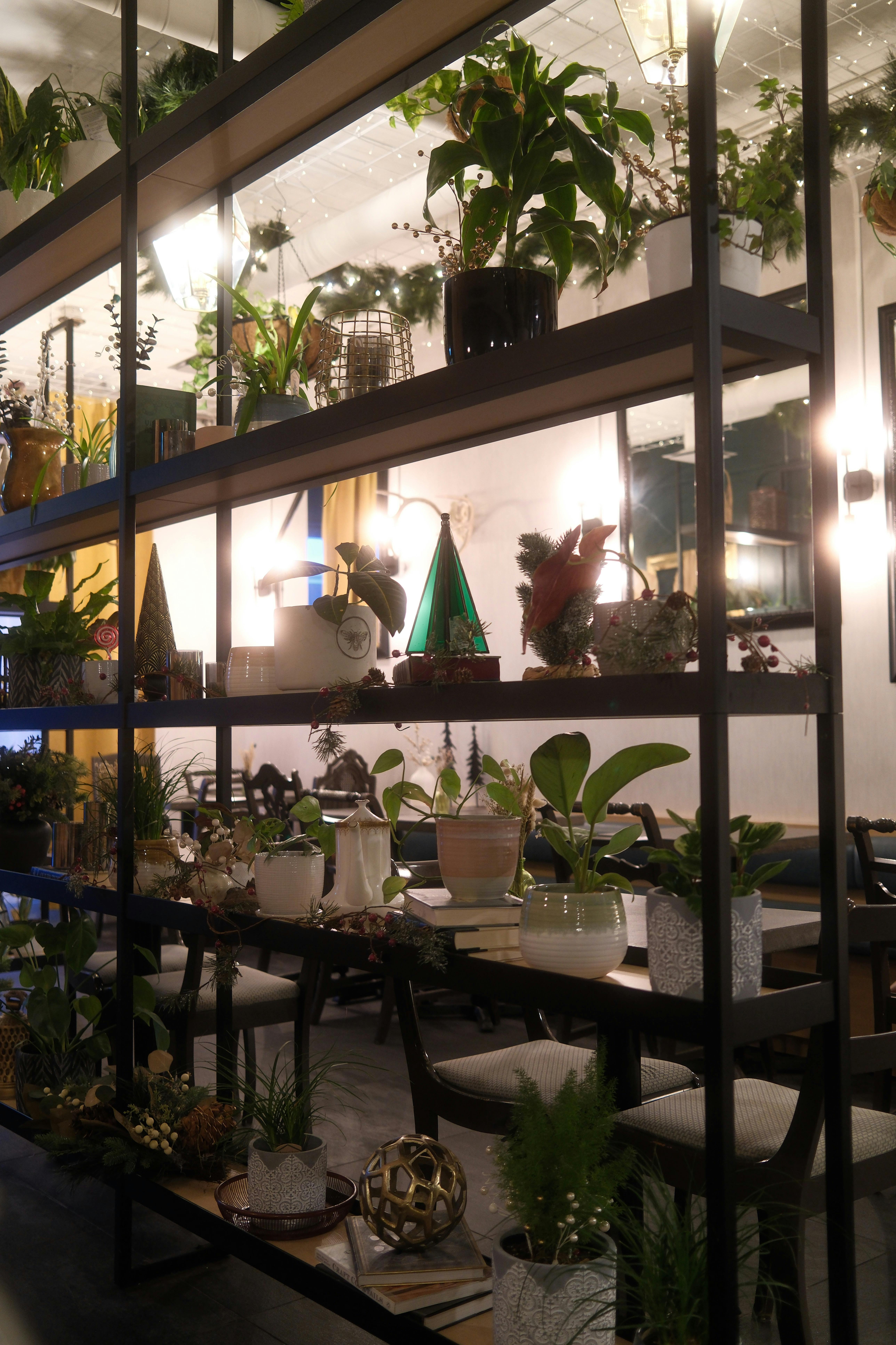 Restaurant Web Design Photos, Download The BEST Free Restaurant Web ...