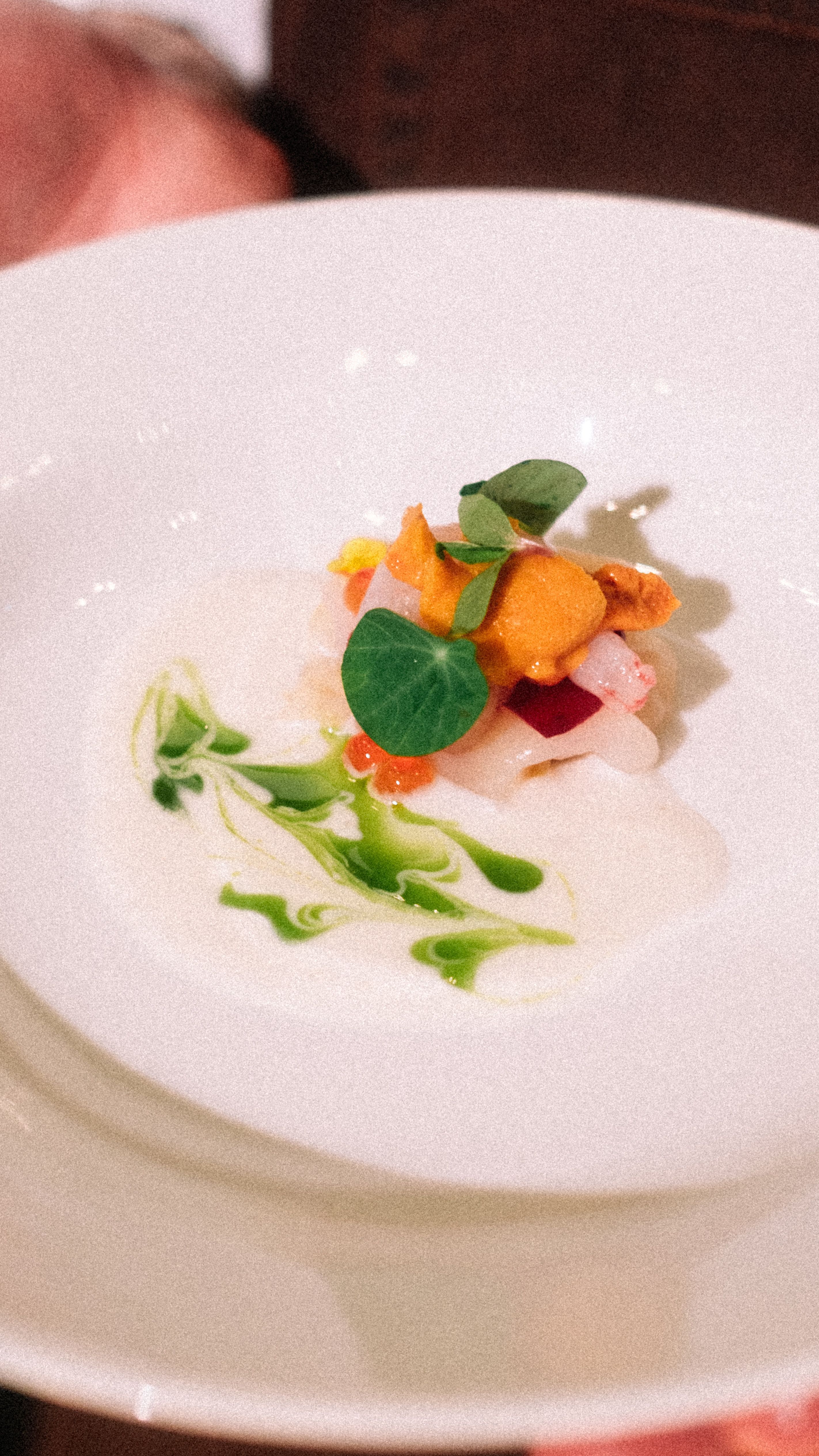 Gourmet Plated Sea Urchin Dish with Garnish · Free Stock Photo