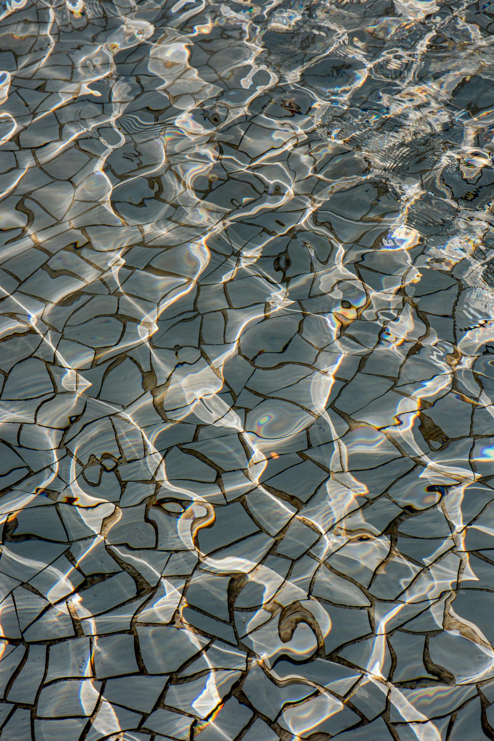 Water Light Photos, Download The BEST Free Water Light Stock Photos ...