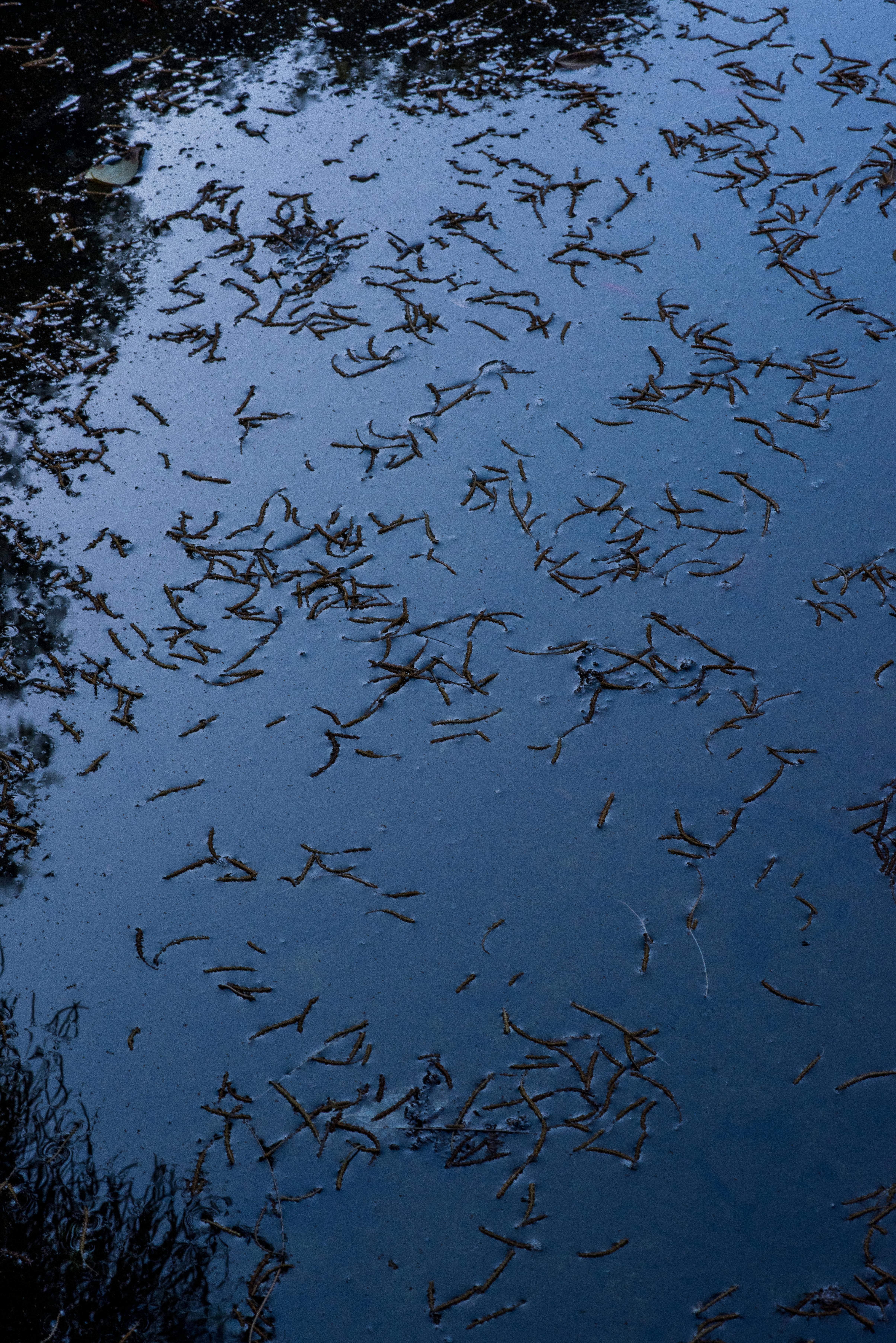 Floating Relaxation Photos, Download The BEST Free Floating Relaxation ...