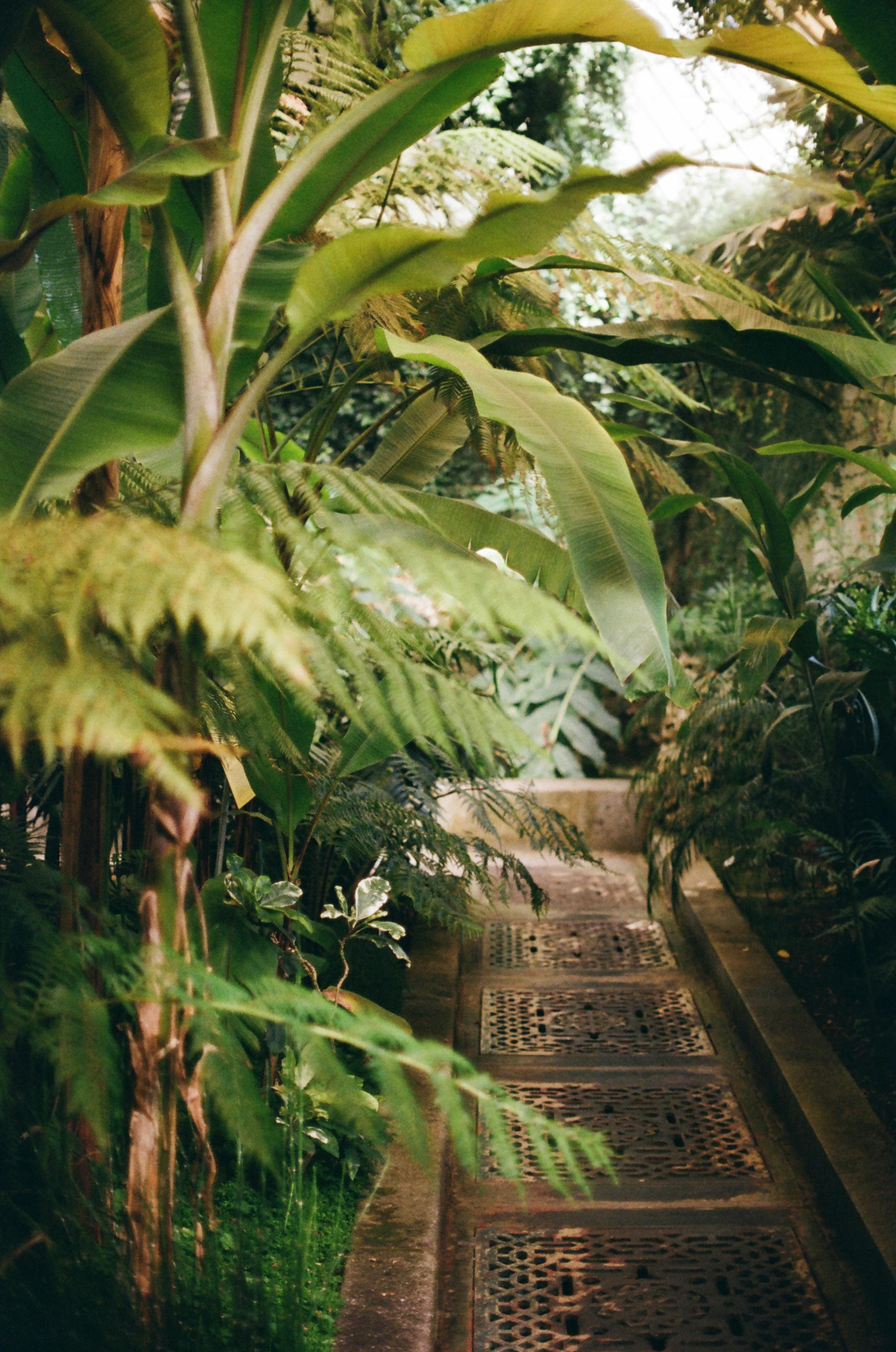 Mark Neal - Photography