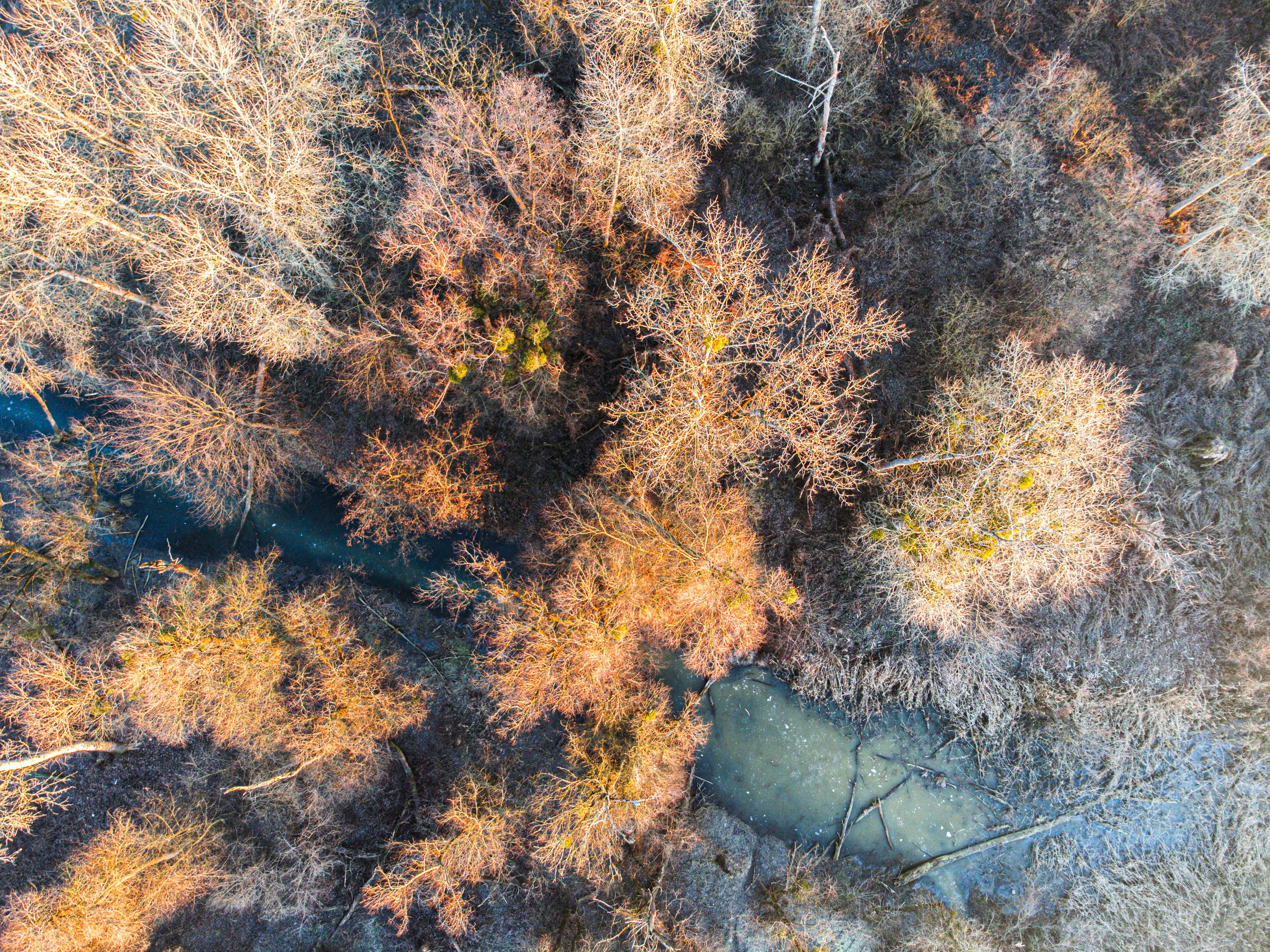 Letenye Photos, Download The BEST Free Letenye Stock Photos & HD Images