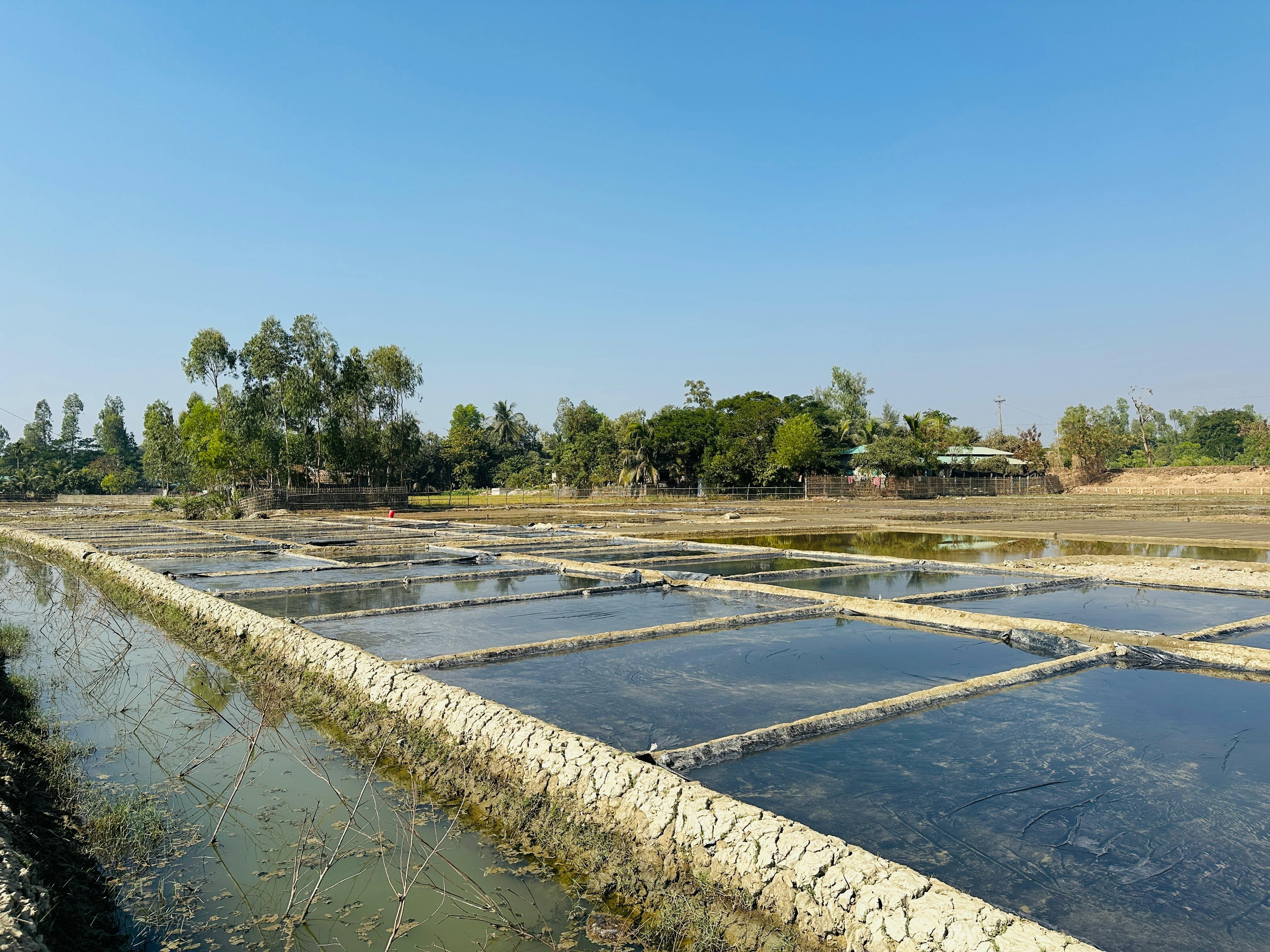 Aerial View of Rural Fish Farming Ponds · Free Stock Photo