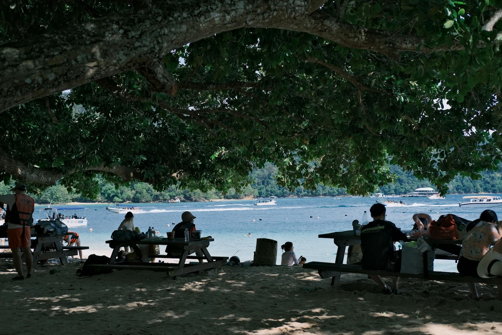 Beach Picnic Photos, Download The BEST Free Beach Picnic Stock Photos ...