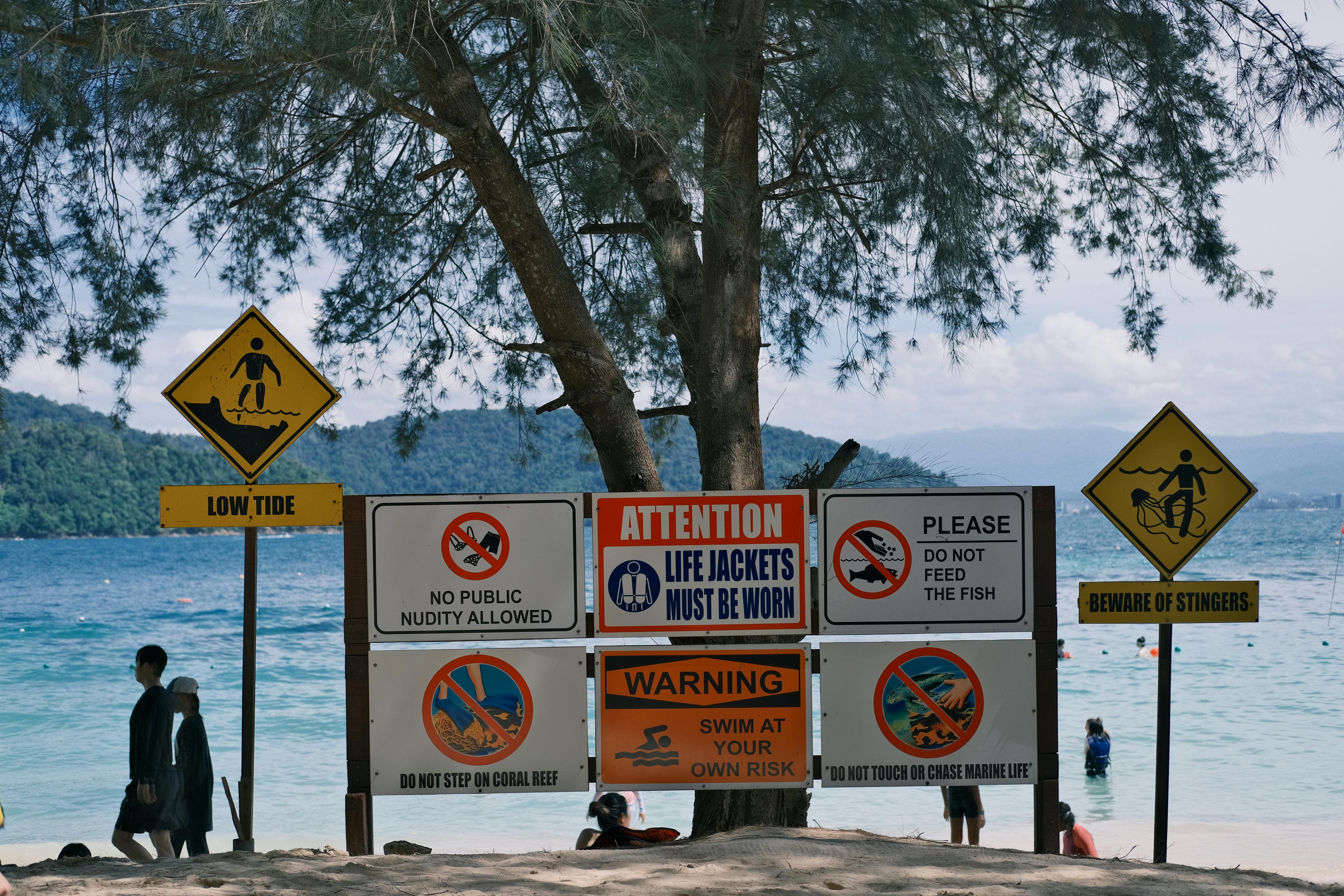 Beach Safety Signs by the Ocean Shore · Free Stock Photo