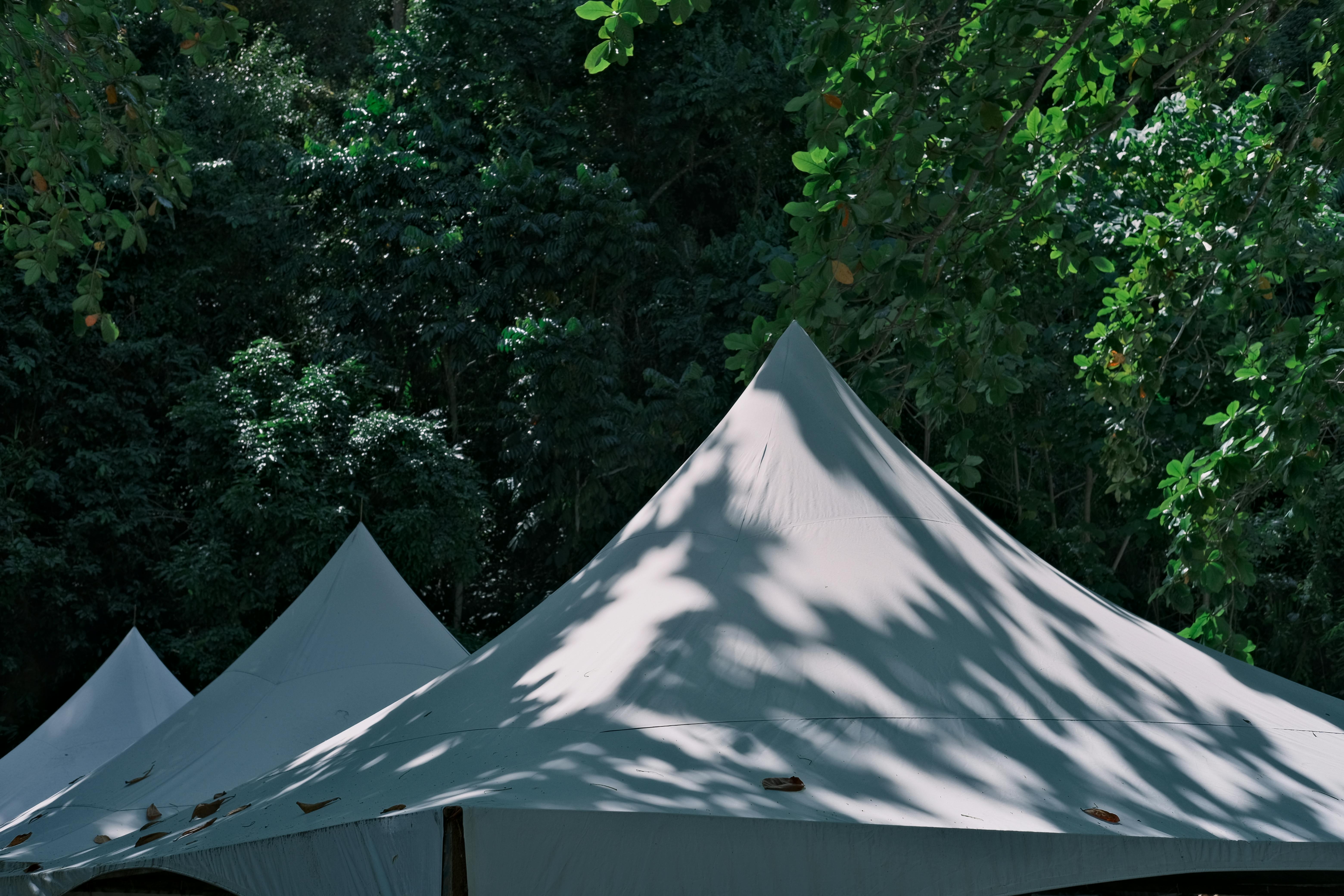 White Tents Amidst Lush Greenery Outdoors · Free Stock Photo
