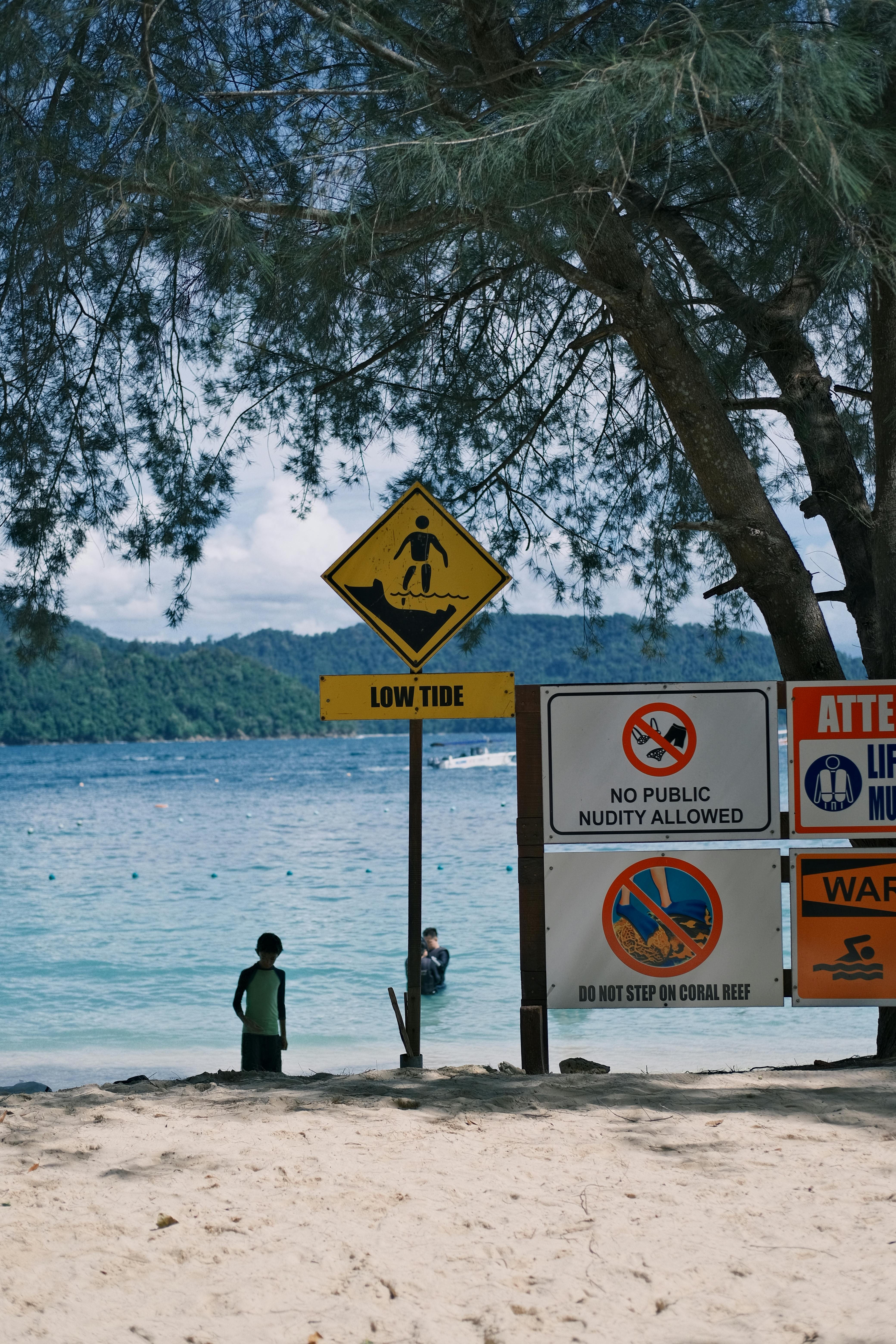 Tropical Beach Signs and Low Tide Warning · Free Stock Photo