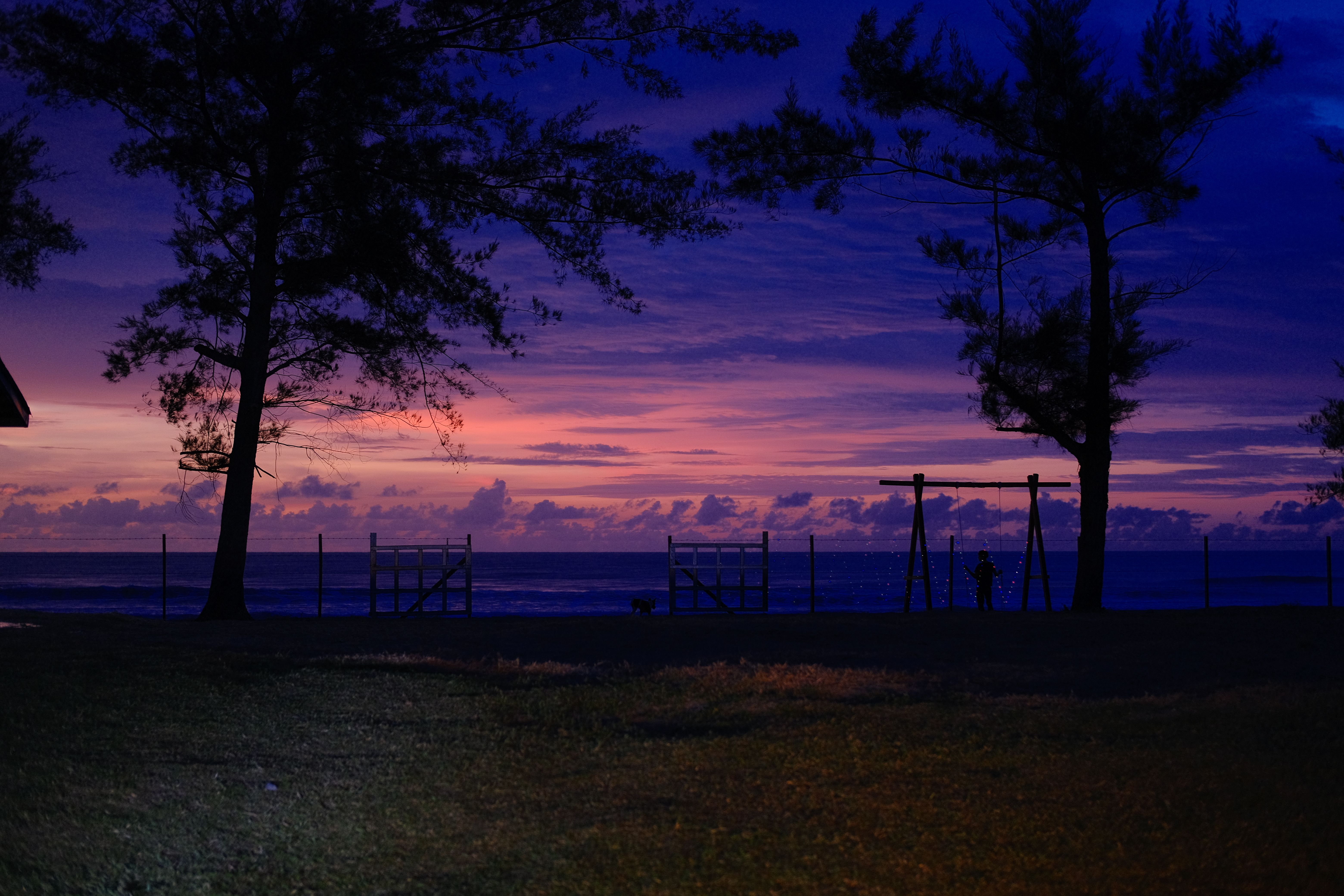 Serene Twilight Beach Scene with Silhouettes · Free Stock Photo