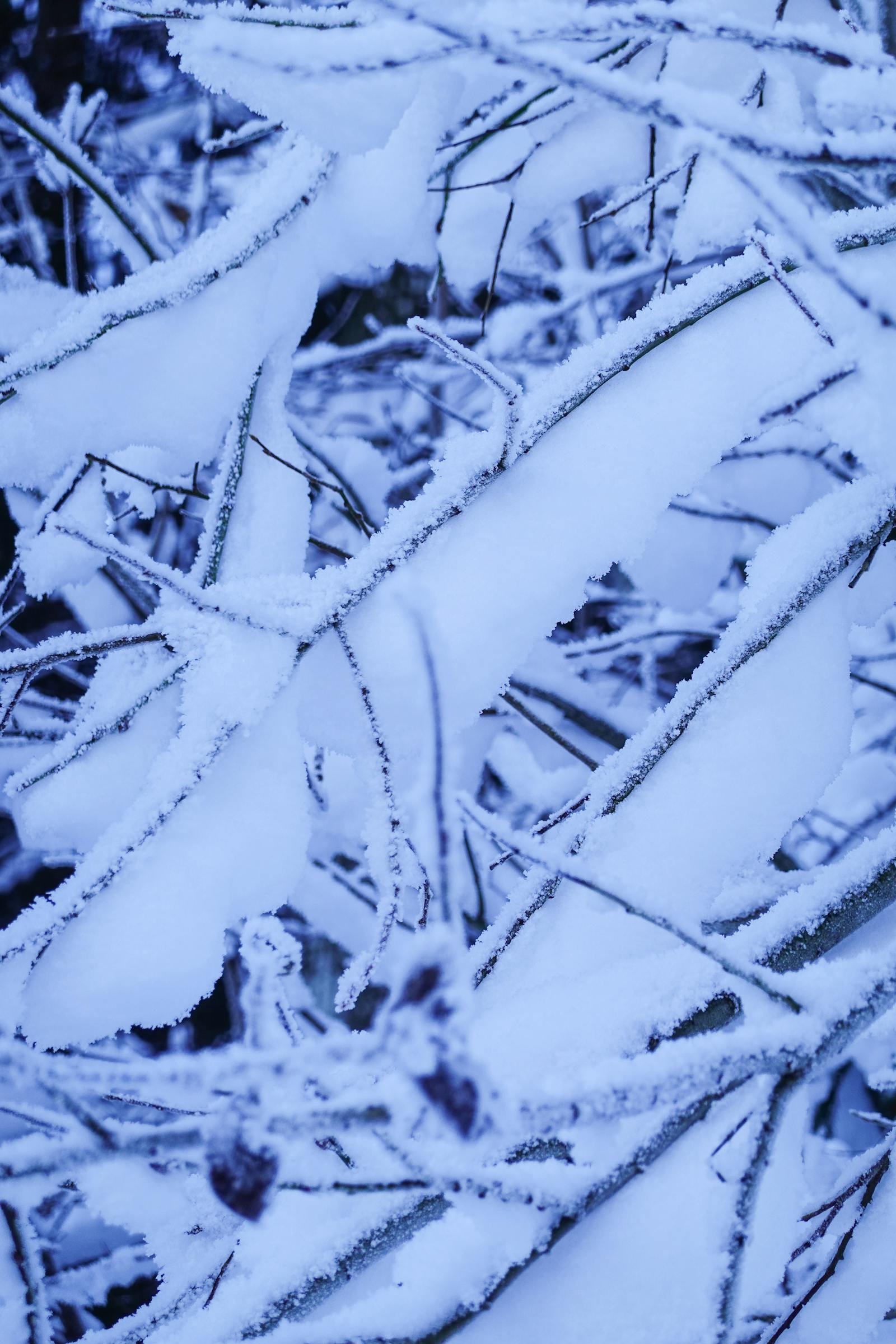 Snow Texture Photos, Download The BEST Free Snow Texture Stock Photos ...